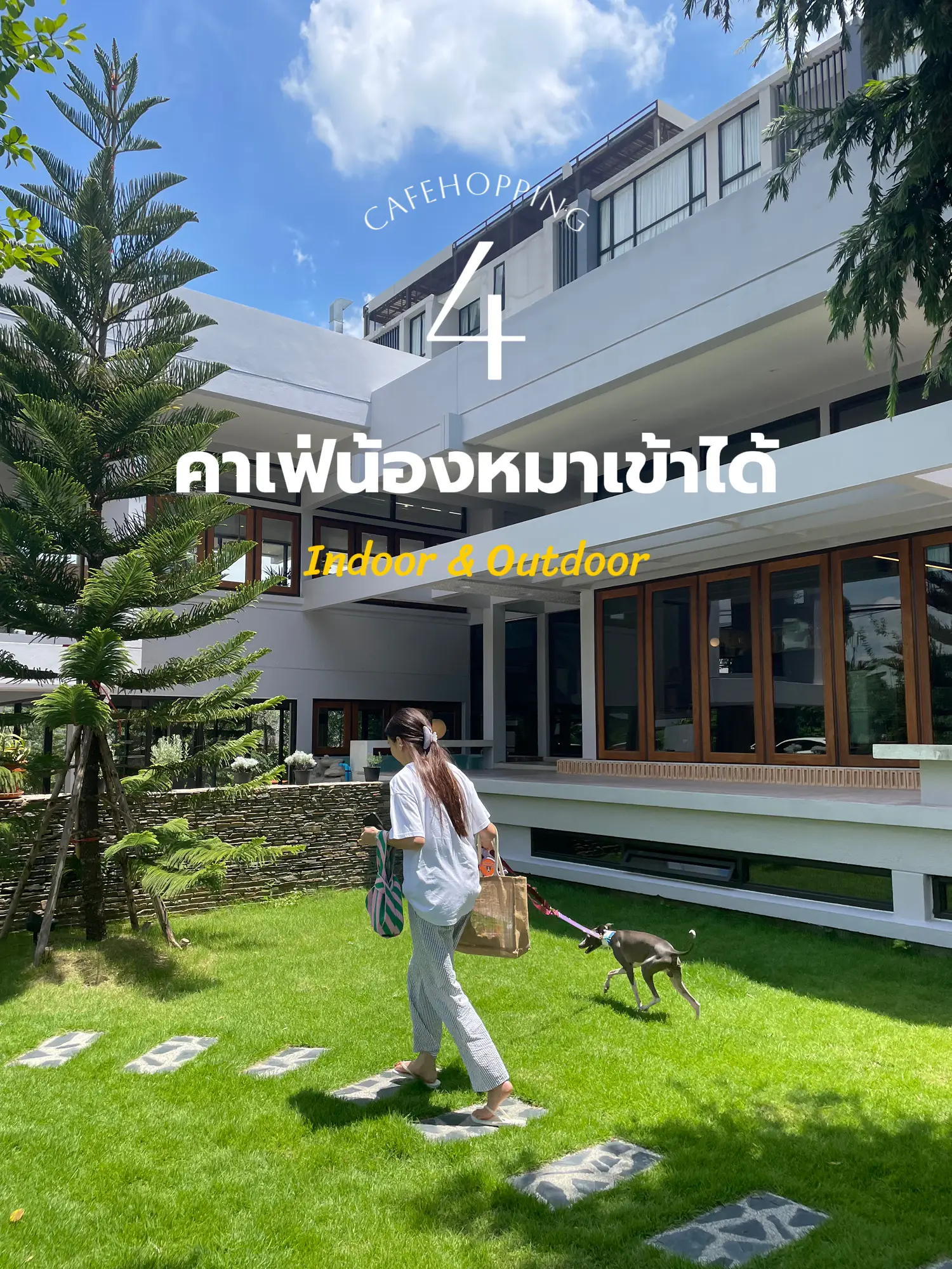 Cafe Pet Friendly เกิน 100% | วิดีโอที่เผยแพร่โดย Joy Enjoy Life | Lemon8