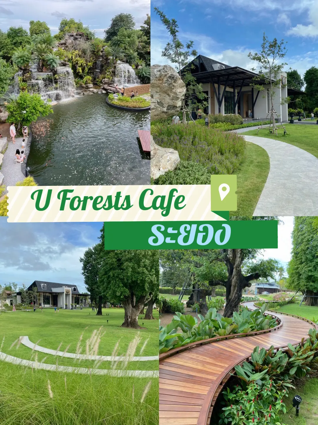 Rayong's newest Landmark!!!🌳 | Gallery posted by Nithan’s mother | Lemon8