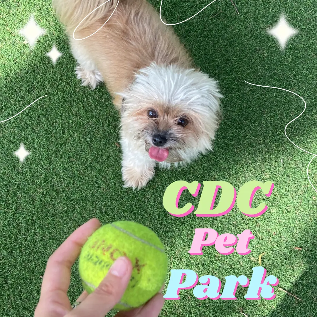 CDC Pet Park 💖🐾 พื้นที่ฟรีพาน้องหมาวิ่งเล่น | แกลเลอรีที่โพสต์โดย Rasarinrosielyn | Lemon8