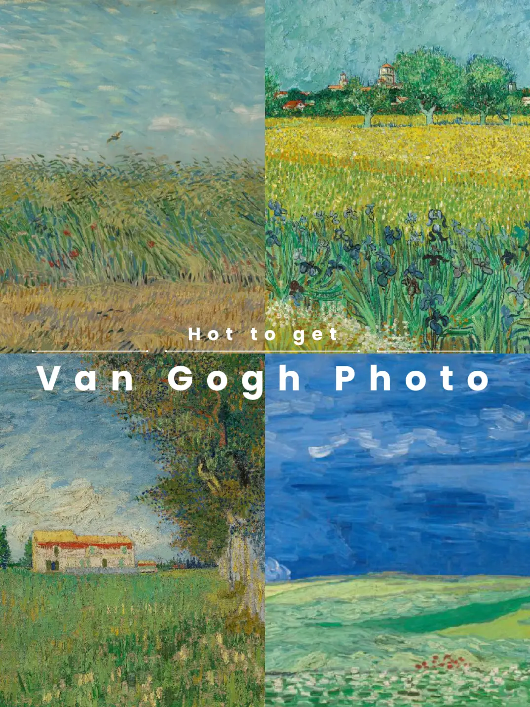 เว็บแจกรูปจาก Van gogh ฟรี!! | แกลเลอรีที่โพสต์โดย ferntncp | Lemon8