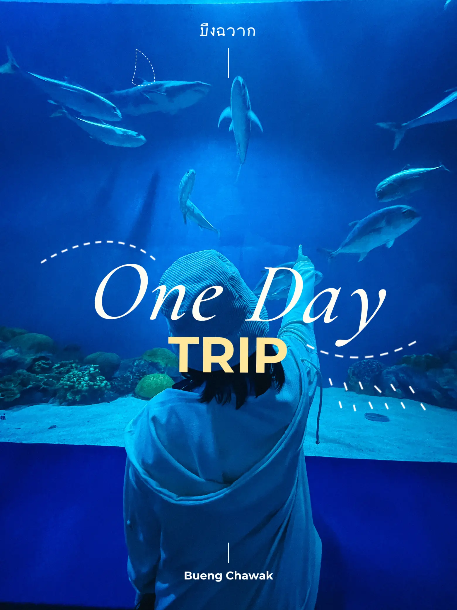 one day trip Bueng Chawak (บึงฉวาก)🦈 | แกลเลอรีที่โพสต์โดย Bun bunbanda | Lemon8