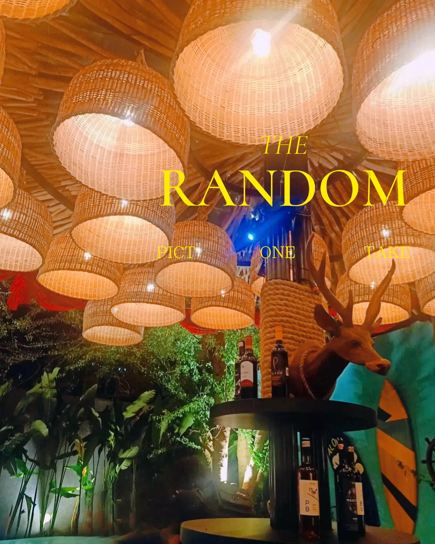 RANDOM PICTURE. | Galeri diposting oleh DIHATAZAN_ | Lemon8