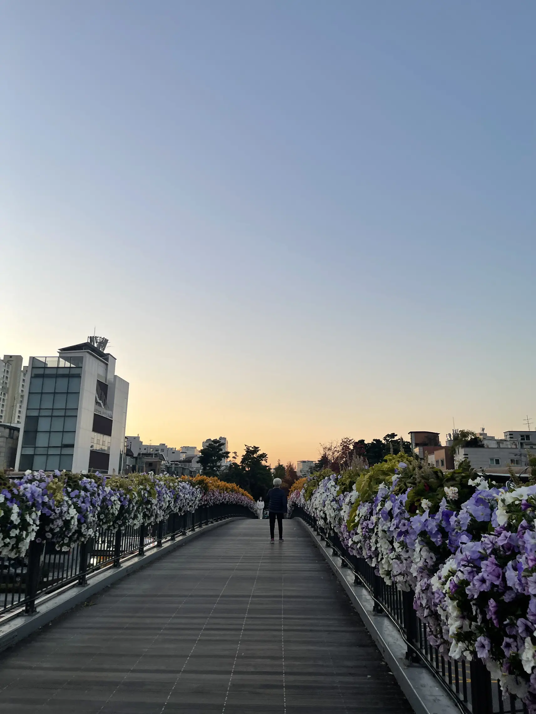 DEAR NOVEMBER 🍁 เกาหลีในฤดูใบไม้ร่วง (가을) | แกลเลอรีที่โพสต์โดย npsn.s ...