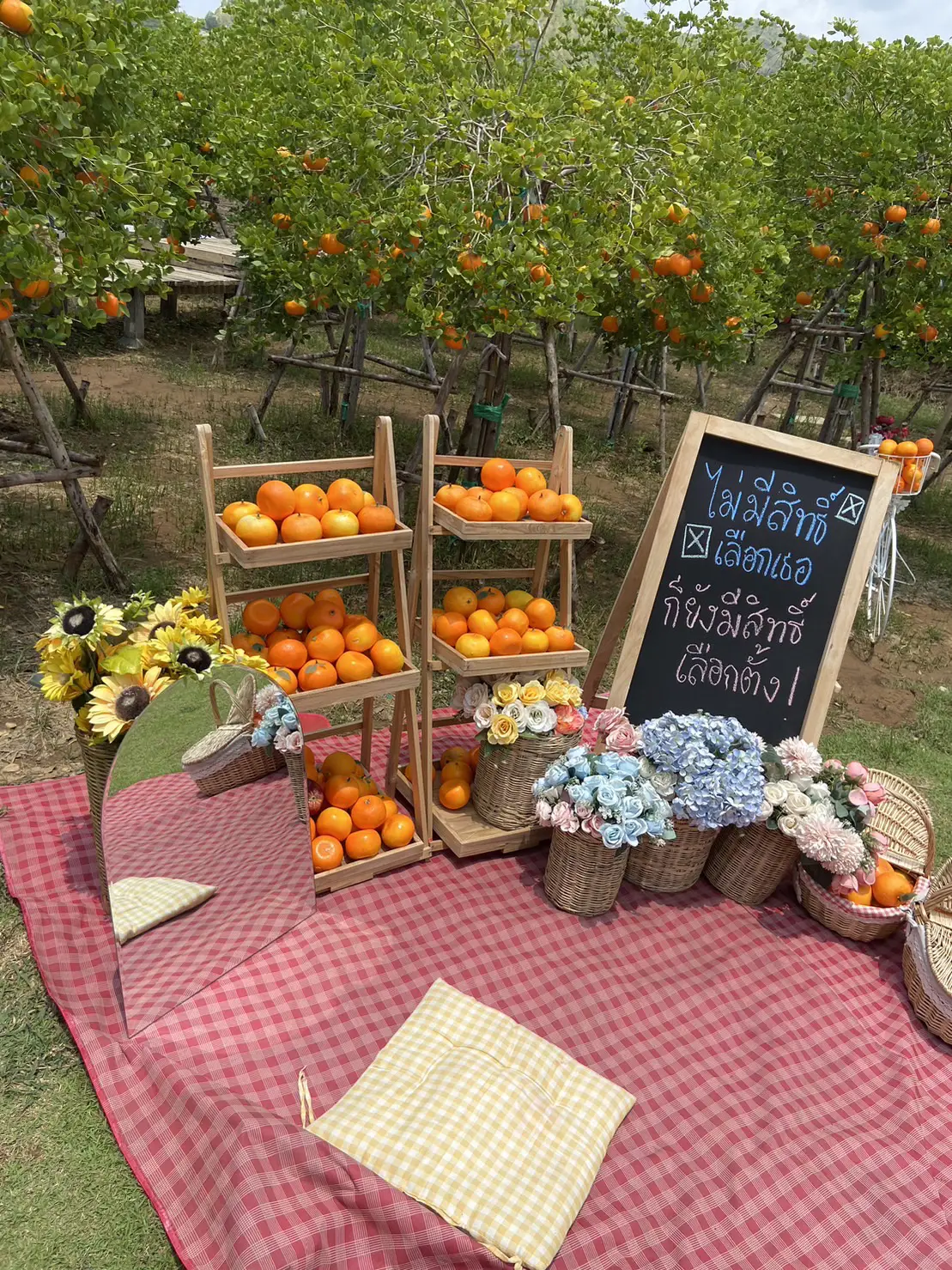 CAFÉ Move To Mountain Garden กาญจนบุรี🍊🍎 | แกลเลอรีที่โพสต์โดย ...