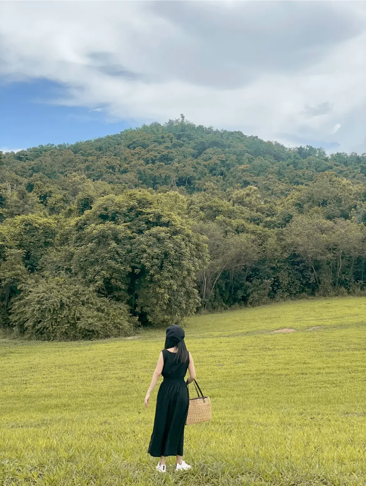 How to แต่งสีภาพถ่ายทุ่งหญ้าแบบไม่ซ้ำ ด้วยแอป Lightroom 🍃 | แกลเลอรีที่โพสต์โดย knan.apsr | Lemon8