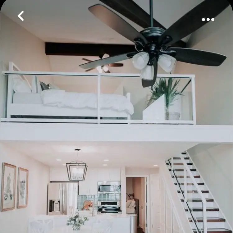 launch - Lemon8 Search