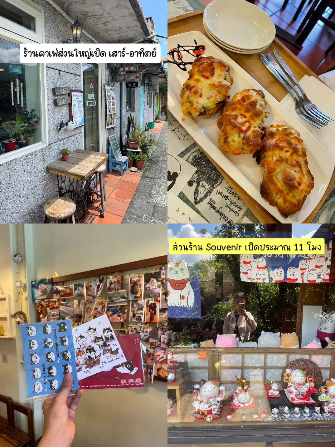 Houtong Cat Village 😽 | แกลเลอรีที่โพสต์โดย ByBeam 🐛 | Lemon8