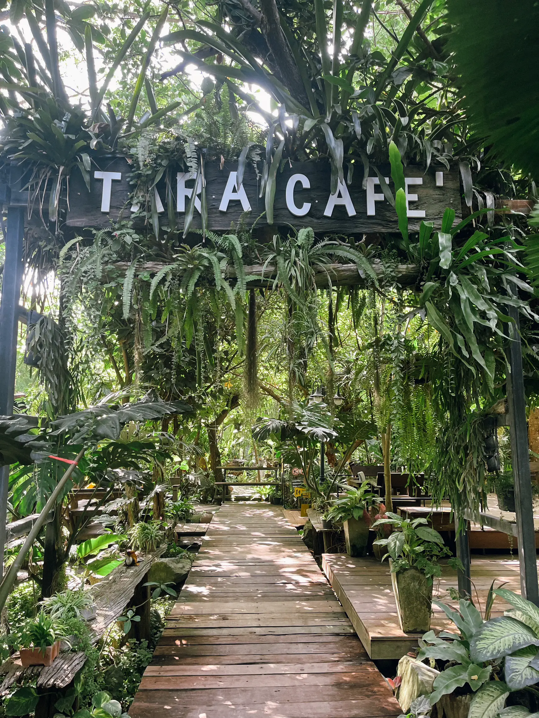 Tara cafe "Khaoyai cafe by waterfall, good atmosphere. Very photogenic ...