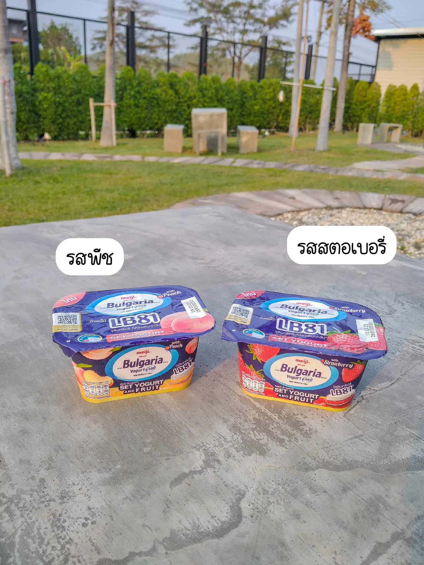 กรีกโยเกิร์ตเมจิตัวใหม่😍 | แกลเลอรีที่โพสต์โดย Panda_patcha | Lemon8