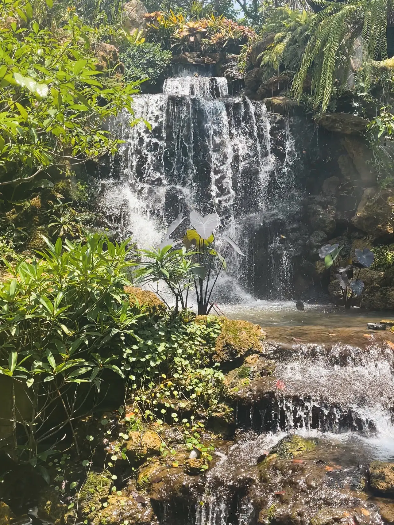 Triple Tree คาเฟ่ปทุมธานีที่มีน้ำตกในตัว!! | แกลเลอรีที่โพสต์โดย นาทากี ...