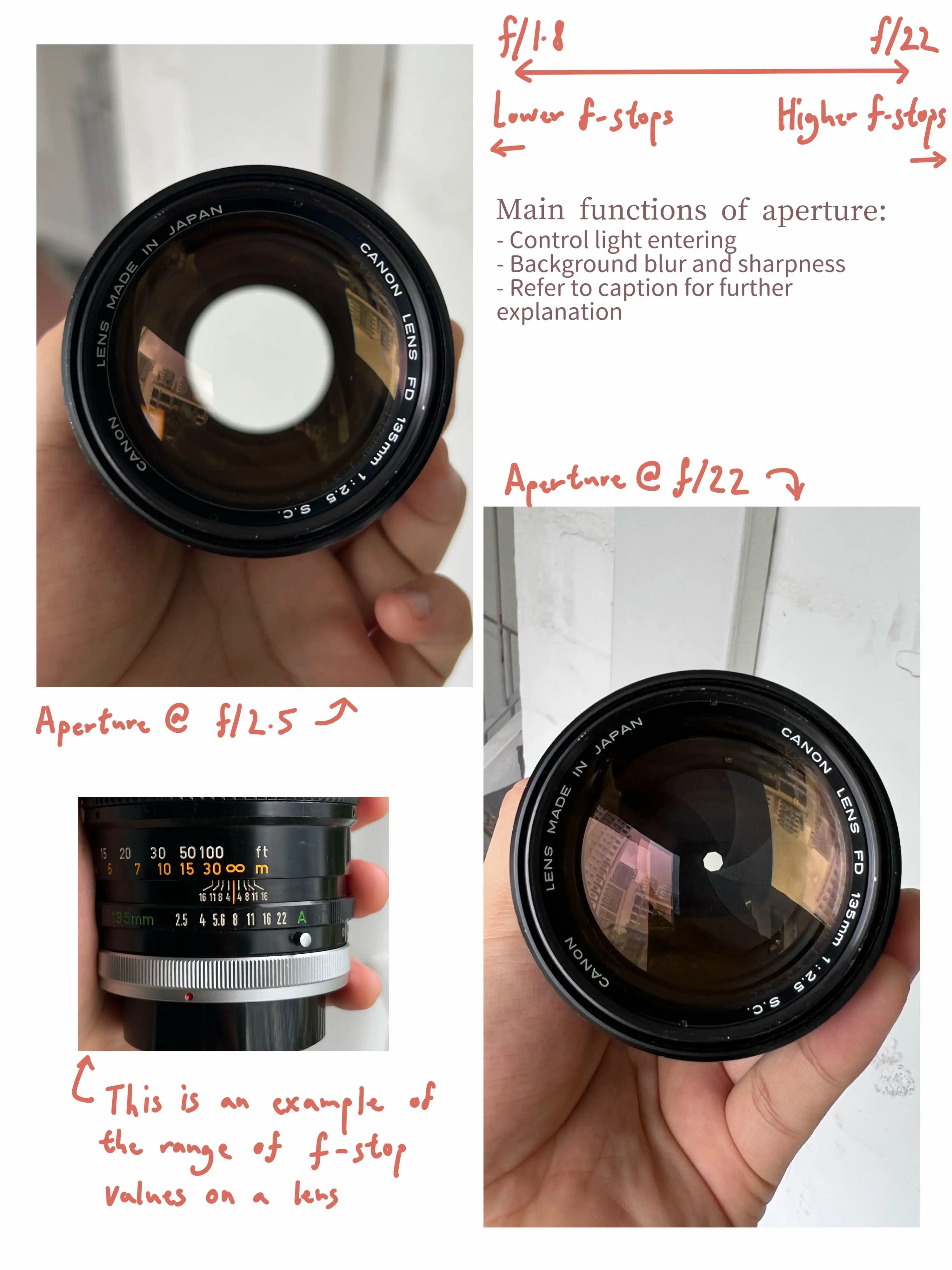 learn about aperture and f-stops!! 🎞️📷 | Gallery posted by shuhan | Lemon8