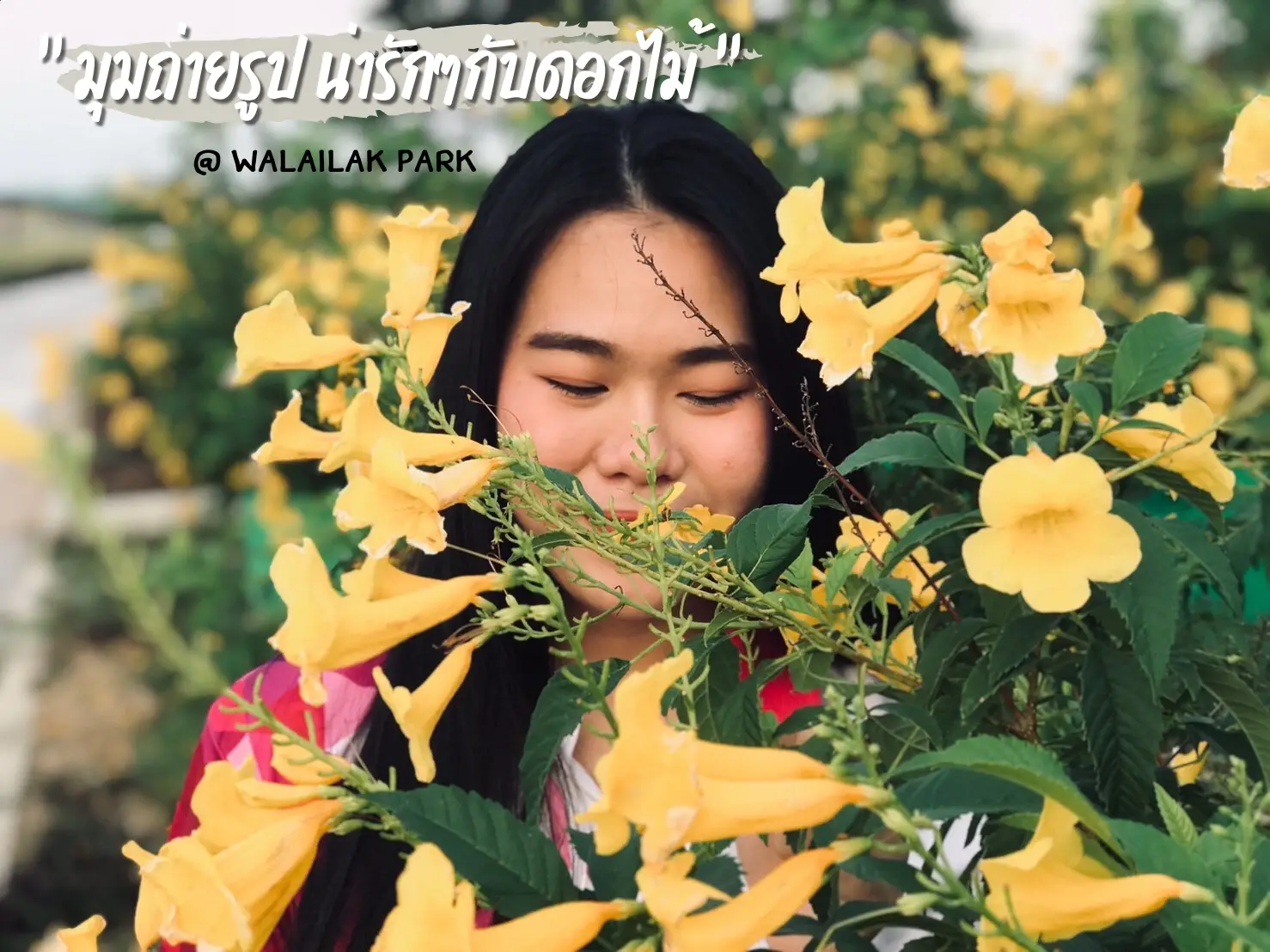 HOW TO ถ่ายรูปกับดอกไม้ เก๋ๆ💐 | แกลเลอรีที่โพสต์โดย Kukkai | Lemon8