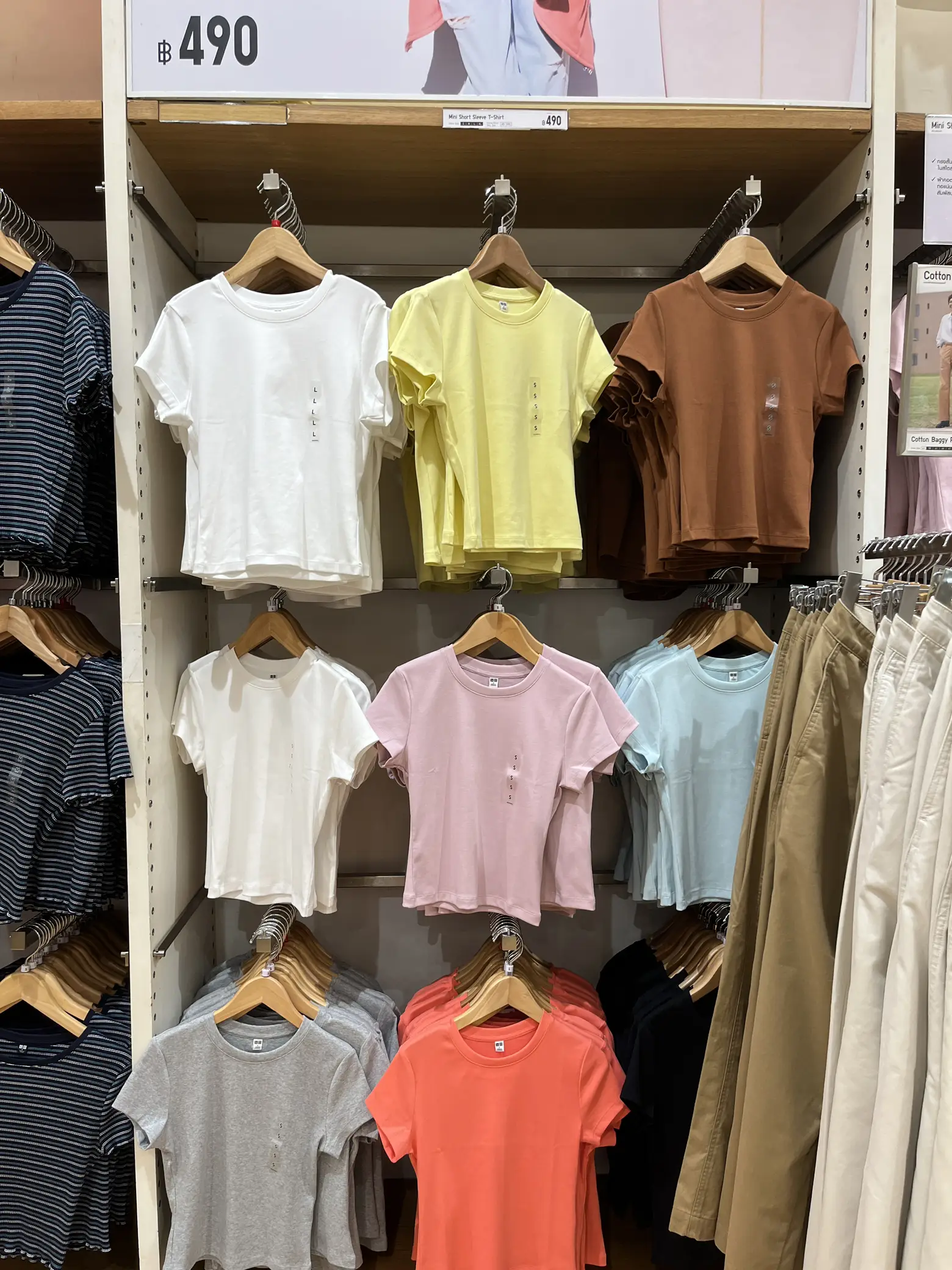 uniqlo basics - การค้นหาใน Lemon8