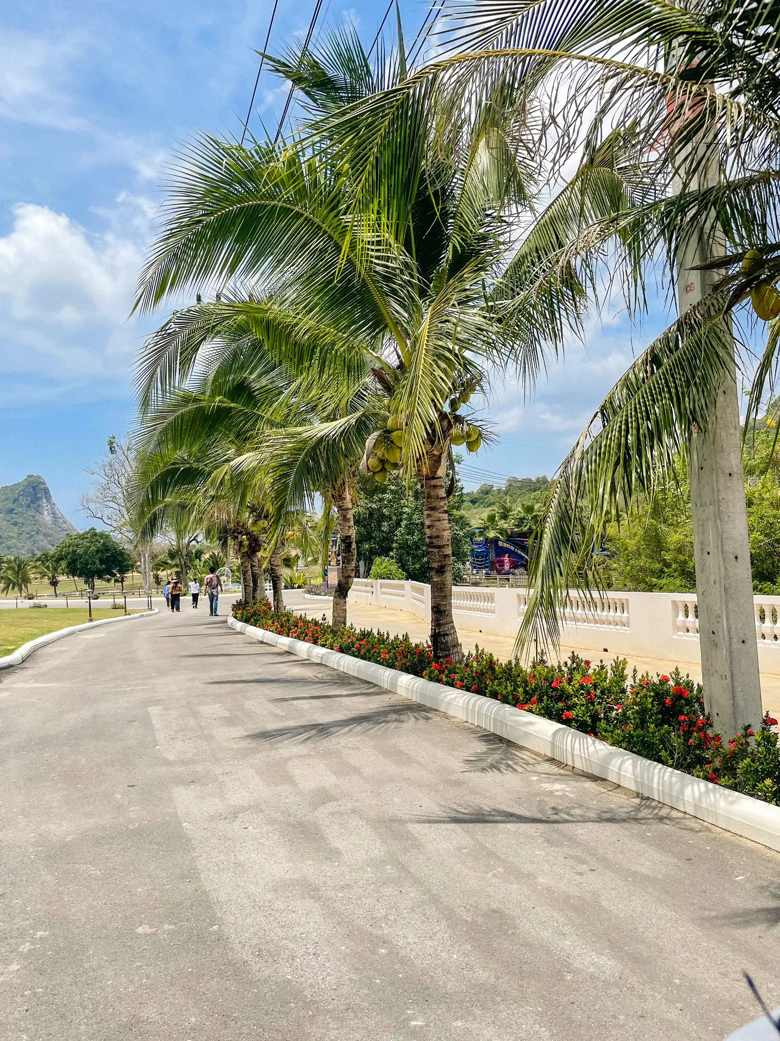 สถานที่พักและถ่ายรูป สัตหีบ ชลบุรี 📷 | แกลเลอรีที่โพสต์โดย Fern Kanthima 🕊 | Lemon8