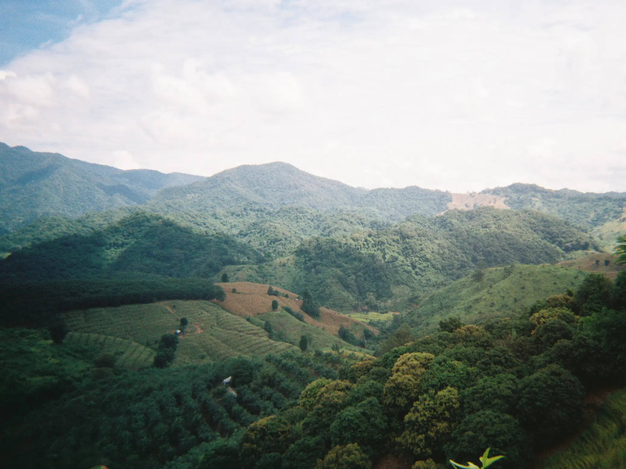 Ee35 Film Cameraใช้ยังไง - การค้นหาใน Lemon8