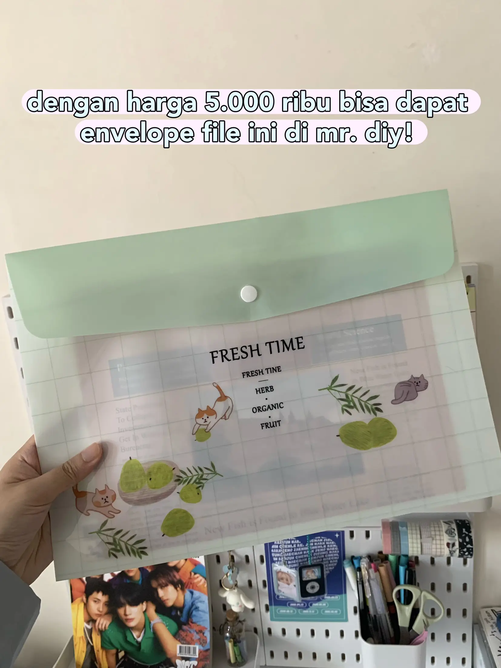 Mr. DIY Finds: A4 Expanding & Envelope File 🗂️ | Galeri diposting oleh ...