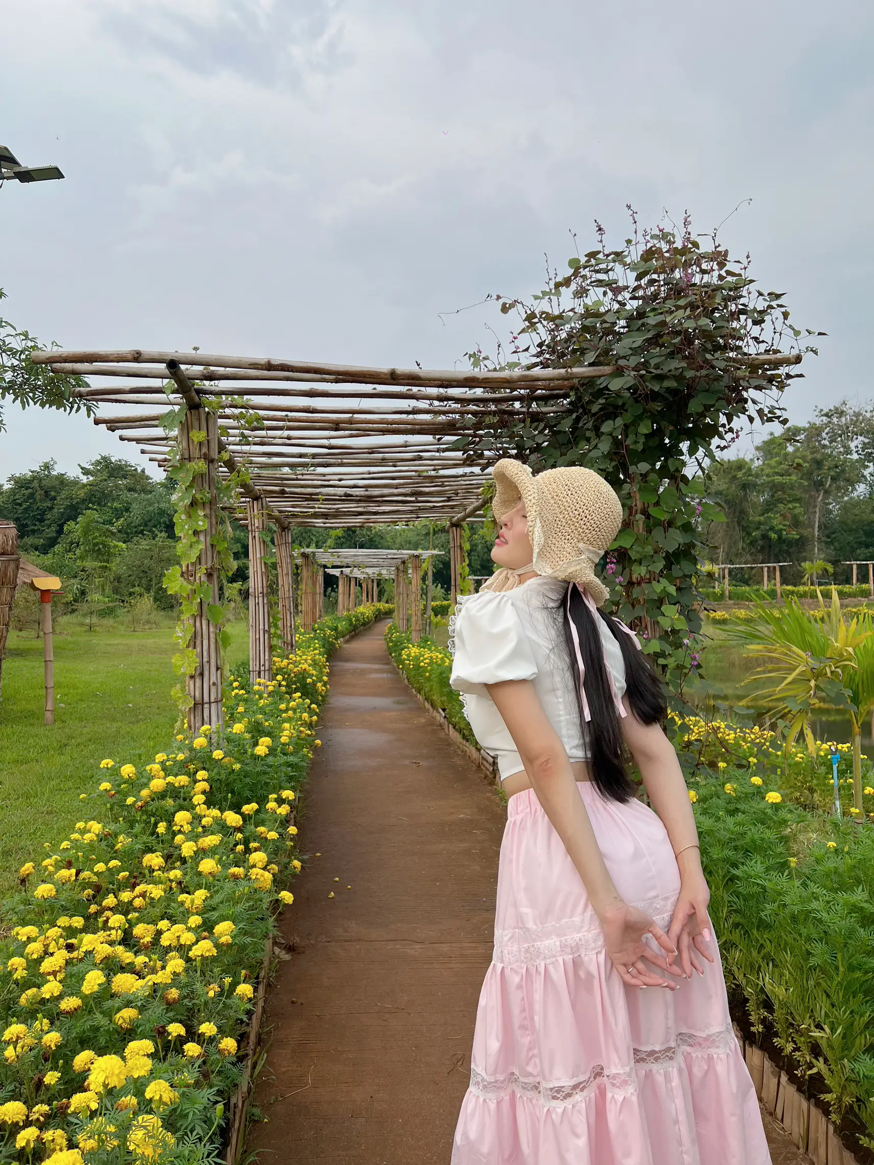 Marigold Park, Benja Field 🍃🌼 | Gallery posted by Nicha Chusuwan | Lemon8