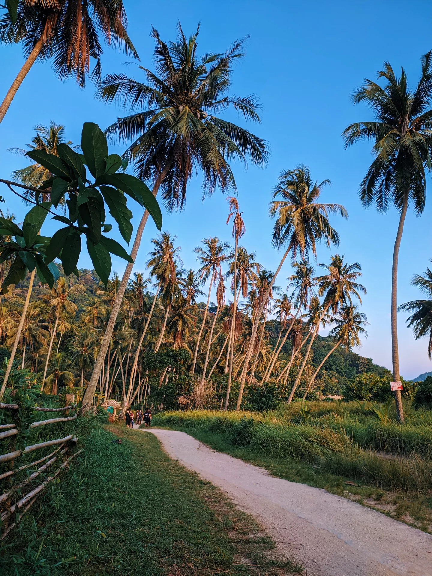 Pantai Esen - Pantai 'Tersembunyi' di Penang! 🇲🇾 | Galeri disiarkan oleh Hazwan Hafiz | Lemon8