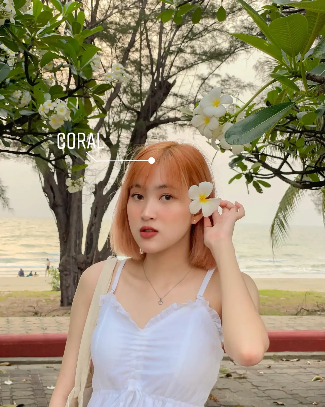 4สีผม แนะนำ! สดใสต้อนรับซัมเมอร์🌞🧃 | แกลเลอรีที่โพสต์โดย ployves.22 | Lemon8