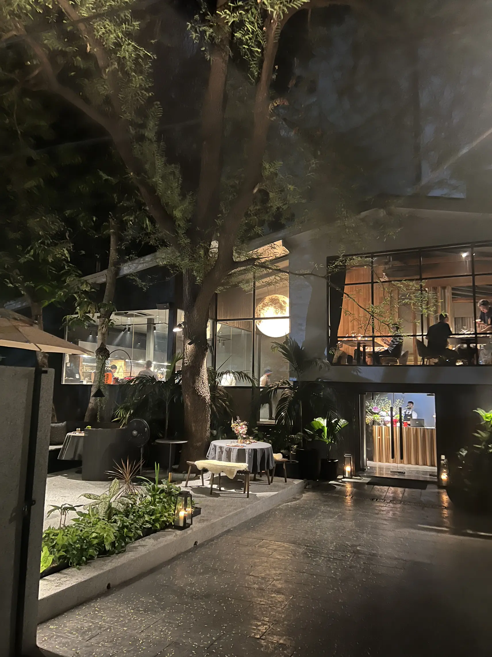 date dinner with 984wolf | แกลเลอรีที่โพสต์โดย Poom | Lemon8