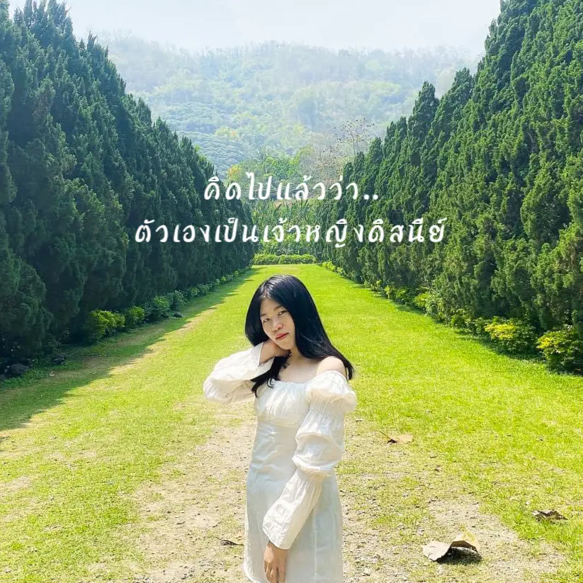 คาเฟ่เชียงใหม่ ฟิวเหมือนหลุดไปอยู่เมืองนอก 🌲🪵 | แกลเลอรีที่โพสต์โดย Manee Review | Lemon8