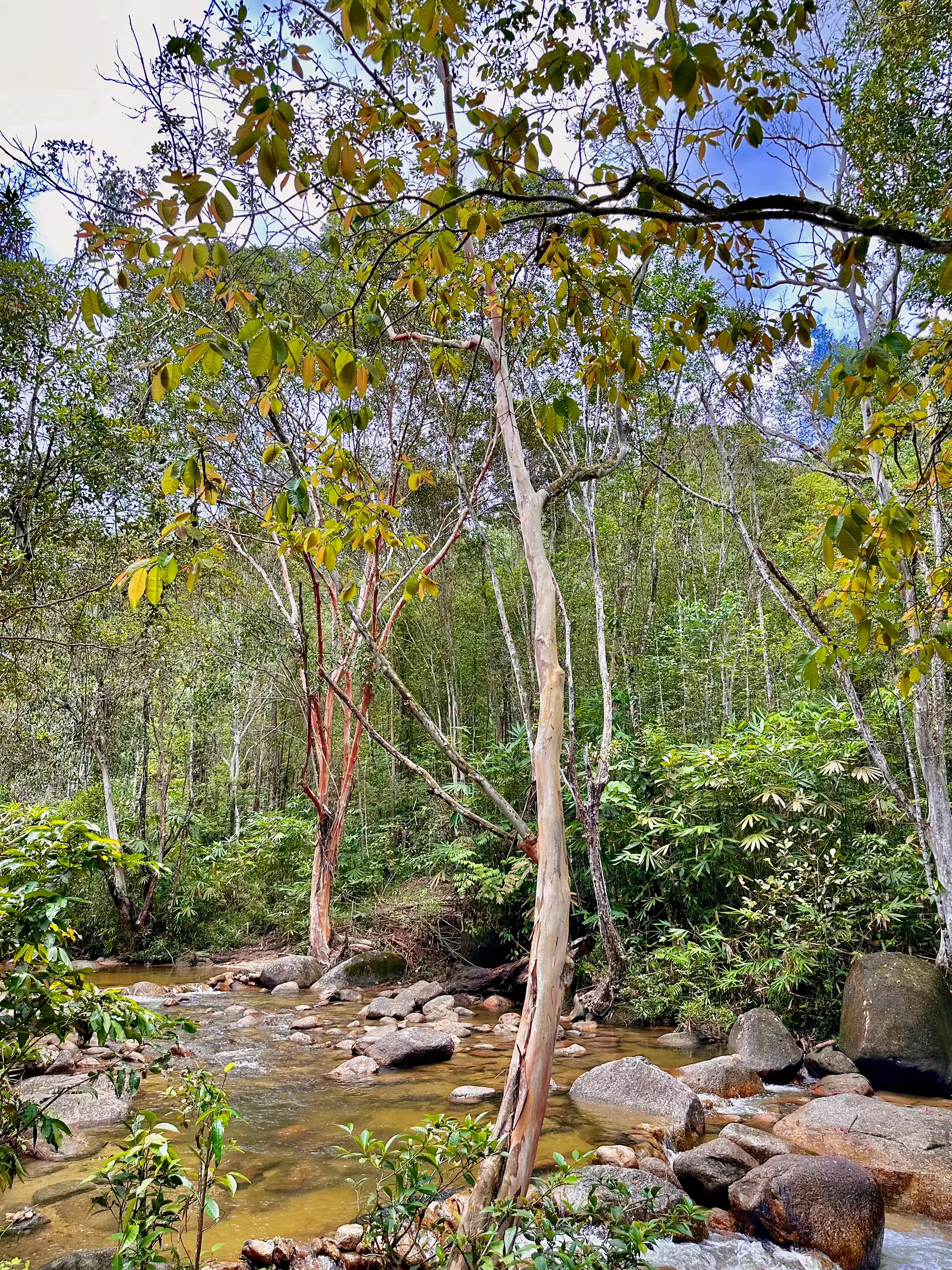 Lata Ulu Chepor,Ipoh Perak | Galeri disiarkan oleh CtSurayaOmar | Lemon8