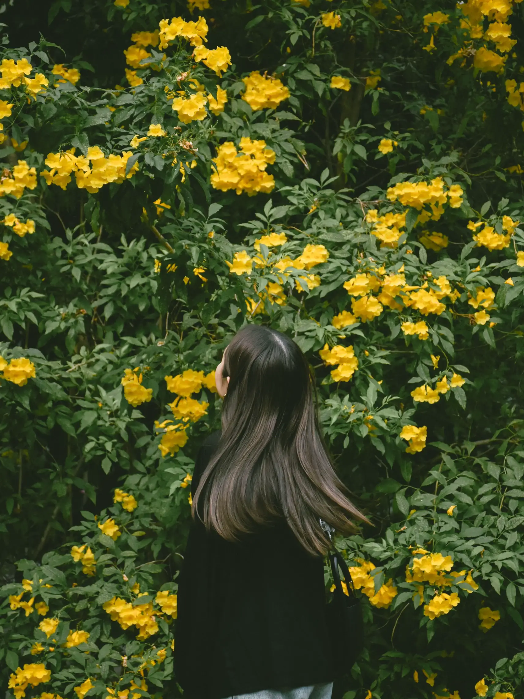 เก็บมุมน่ารักๆฟีลเกาหลีที่สวนจุฬา 100 ปี!🌷🌳 | แกลเลอรีที่โพสต์โดย ISAYWORK | Lemon8