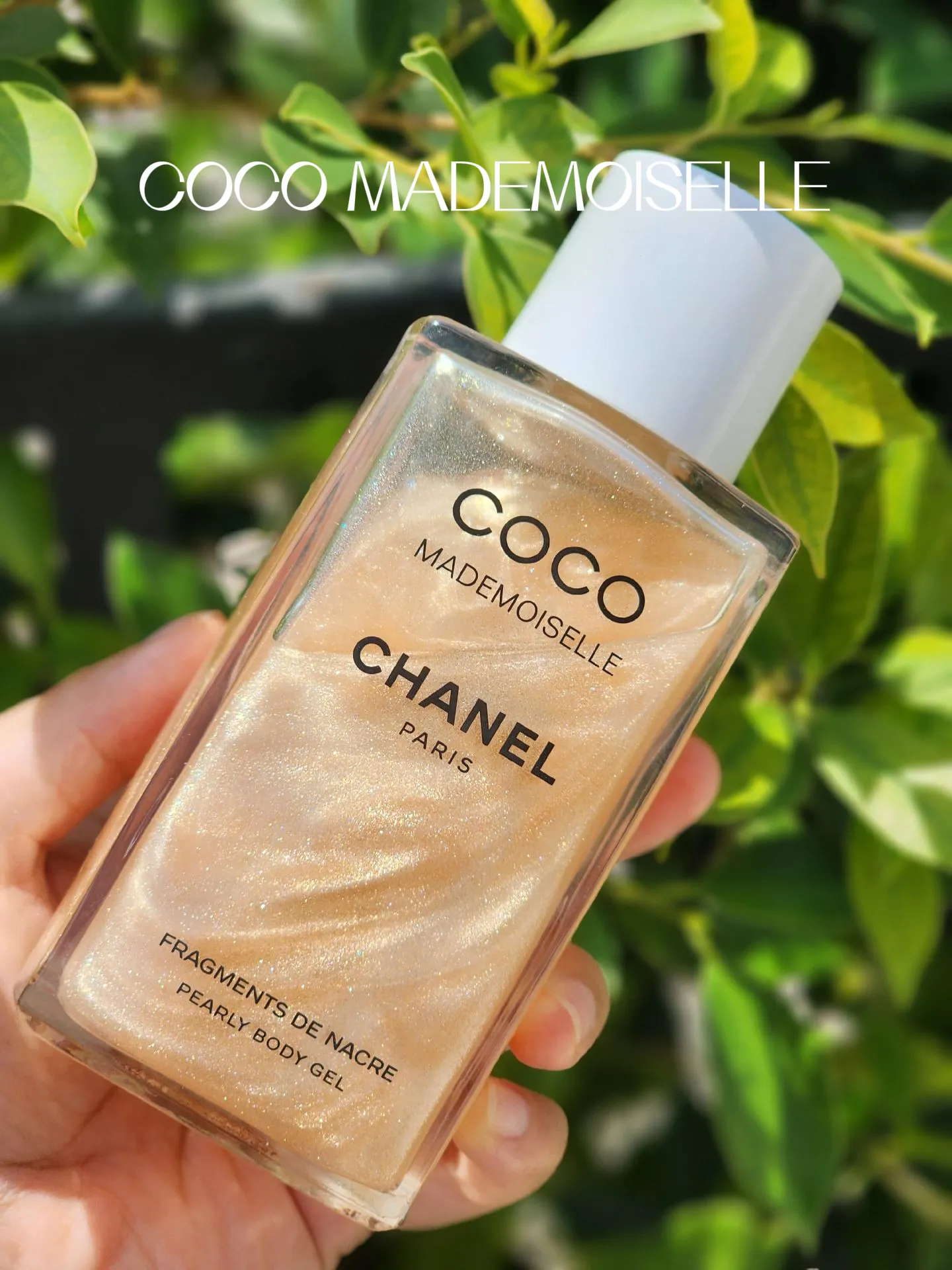 CHANEL COCO MADEMOISELLE | แกลเลอรีที่โพสต์โดย Bow Jarunan | Lemon8