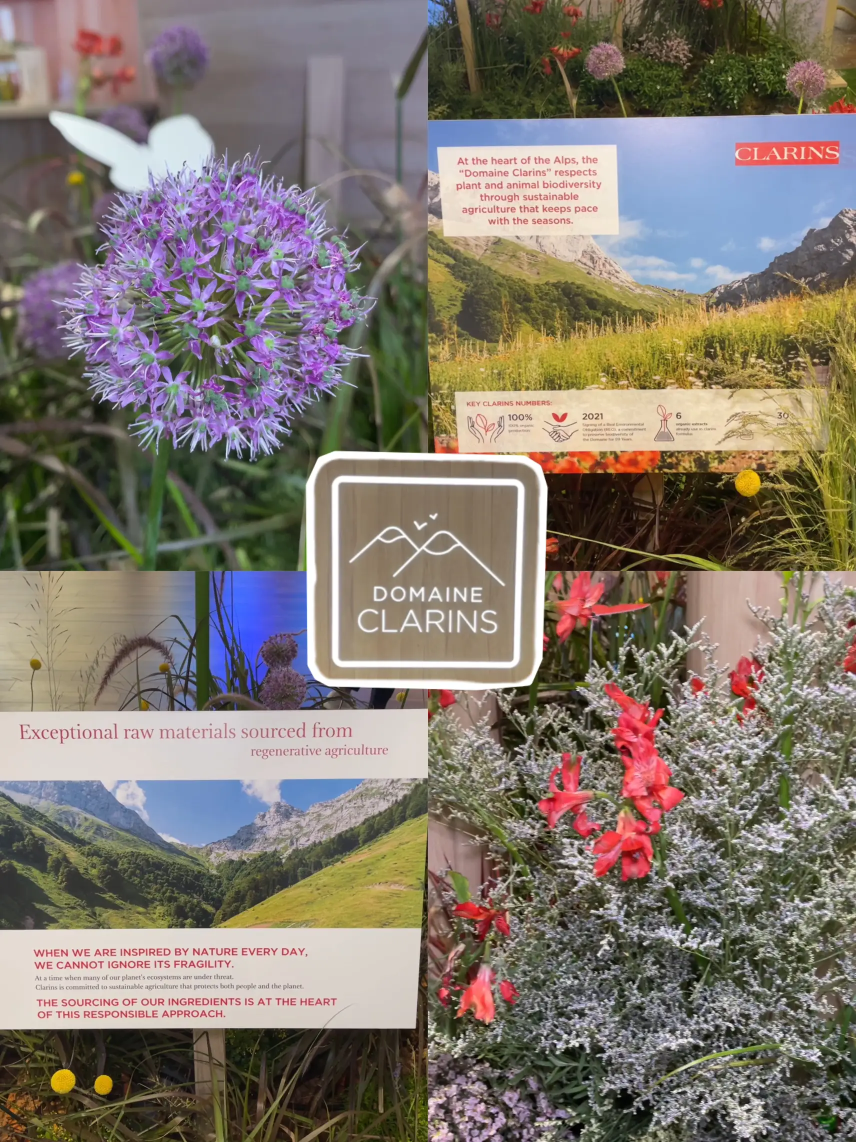 Exploring Garden at DOMAINE CLARINS | Gallery posted by PasirPanjangBoy | Lemon8