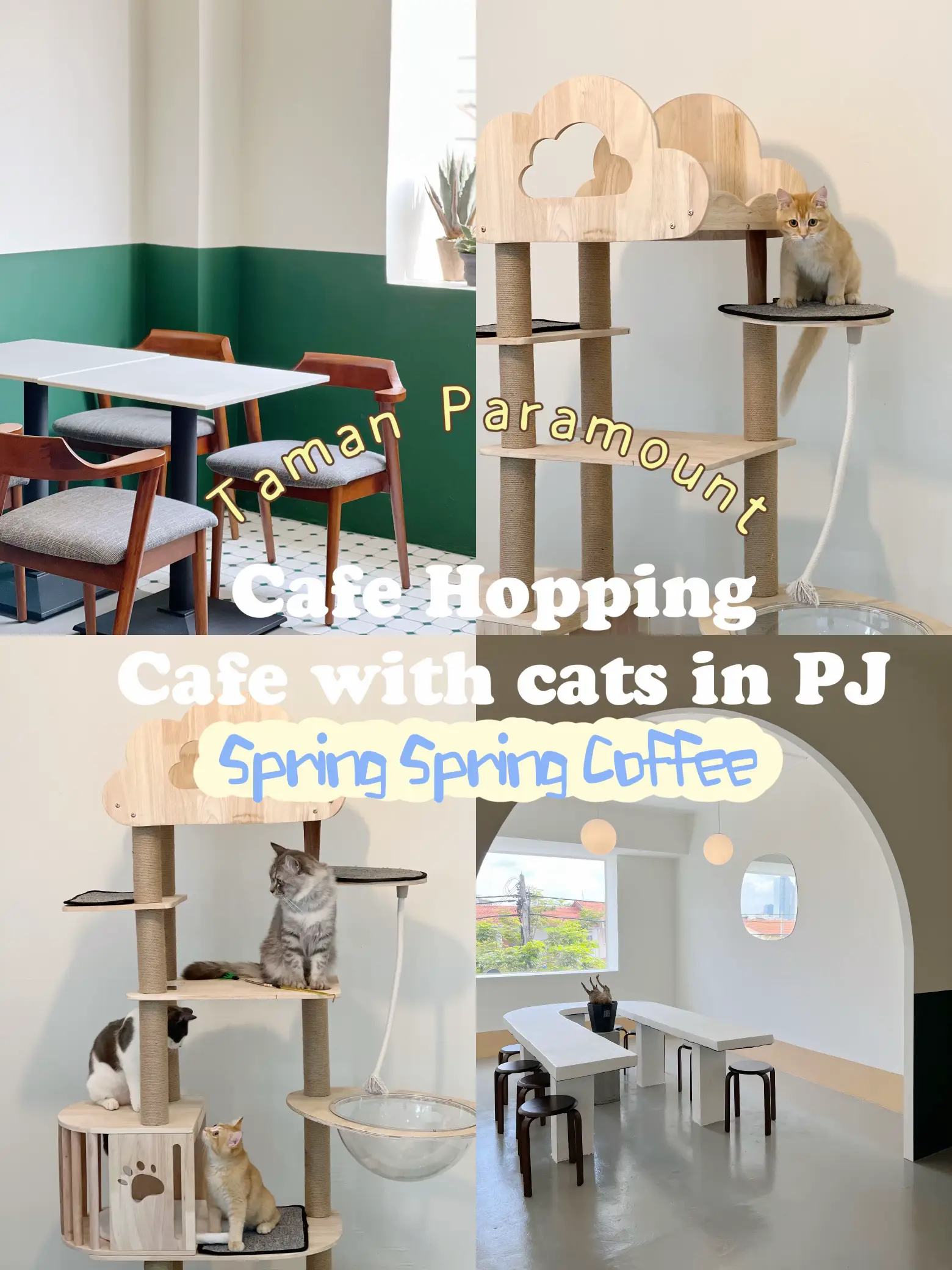 Cafe Hopping | Spring Spring Coffee | Galeri disiarkan oleh I’m cafe ...