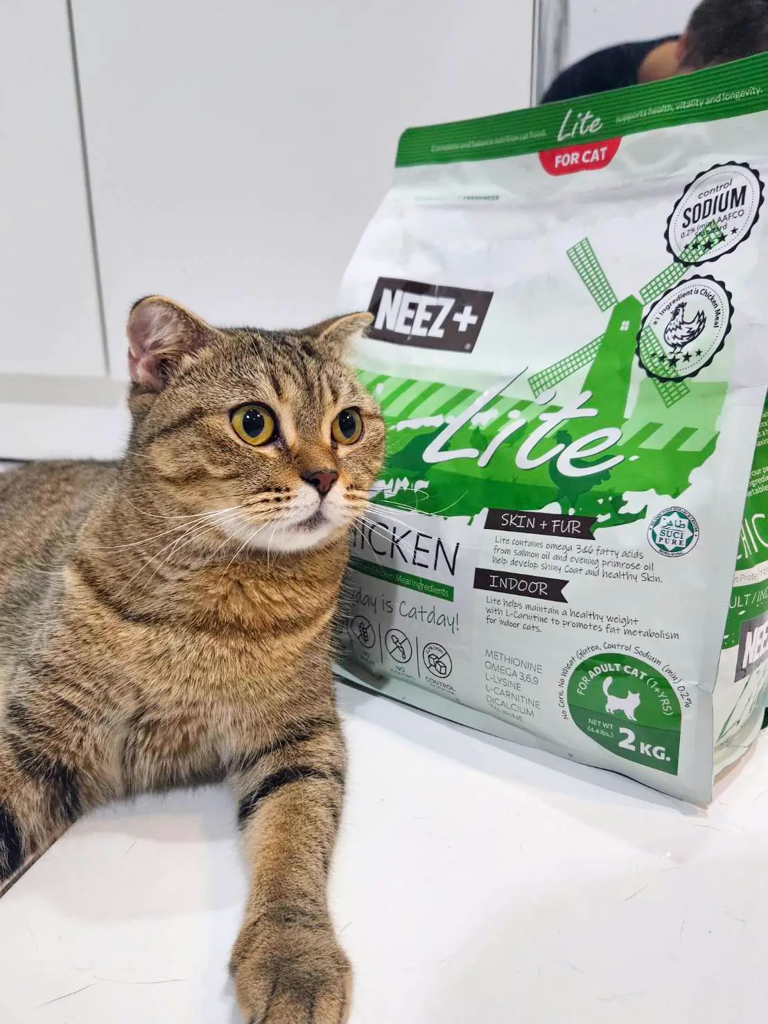 รีวิวอาหารแมว Neez - การค้นหาใน Lemon8