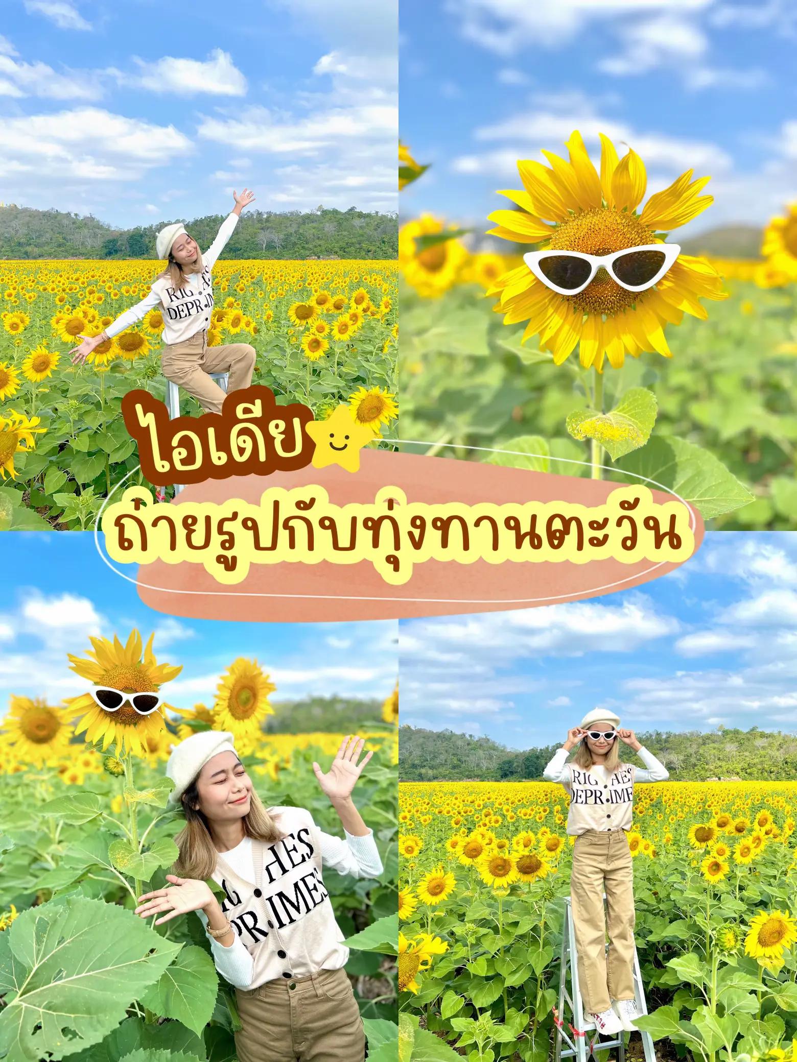 Sunflower fields are blooming. Let's take pictures. 🌻🌻 | Gallery posted ...