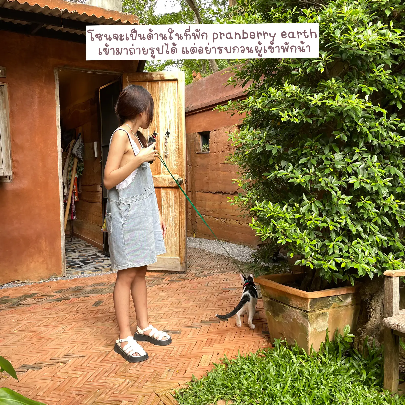 Pranberry field คาเฟ่สุดชิลล์ ฟีลสวนหลังบ้านในยุโรปป 🛖🌲🍃🌺 | แกลเลอรีที่ ...