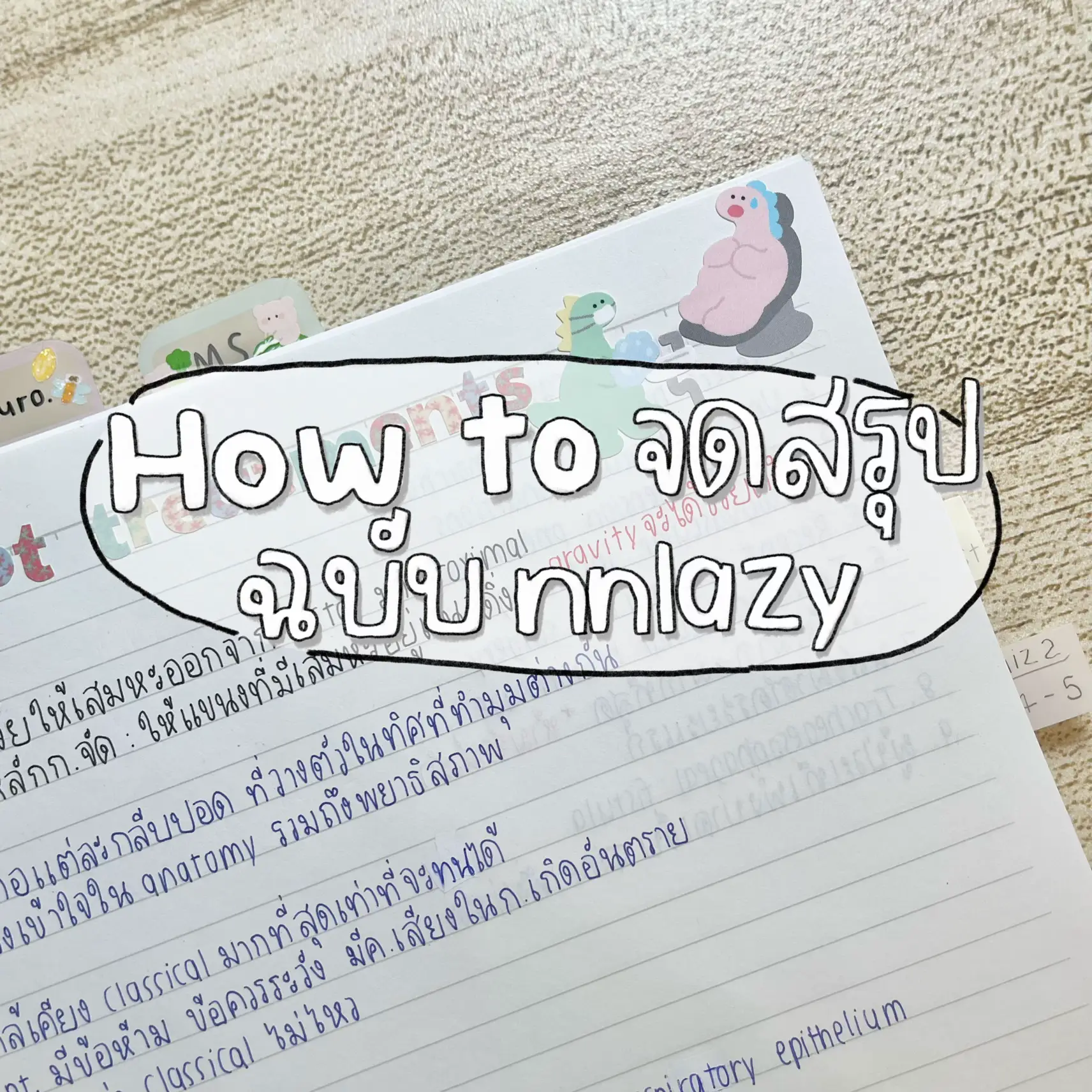 🎄🫧 How to 🫧🎄 จดสรุปฉบับ nnlazy | แกลเลอรีที่โพสต์โดย nnlazystudygram | Lemon8