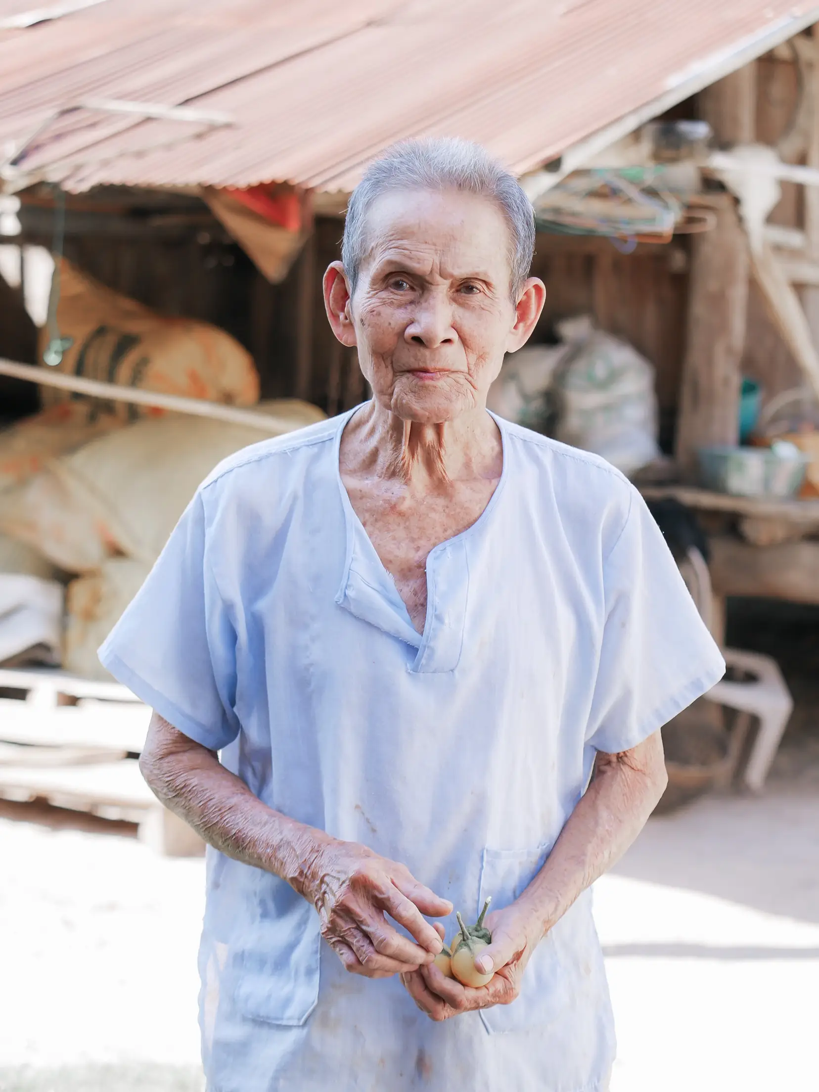 เลนส์กล้องหลังละลายด้วยราคาที่เป็นมิตร 👏🏻 | แกลเลอรีที่โพสต์โดย Preawnicha | Lemon8