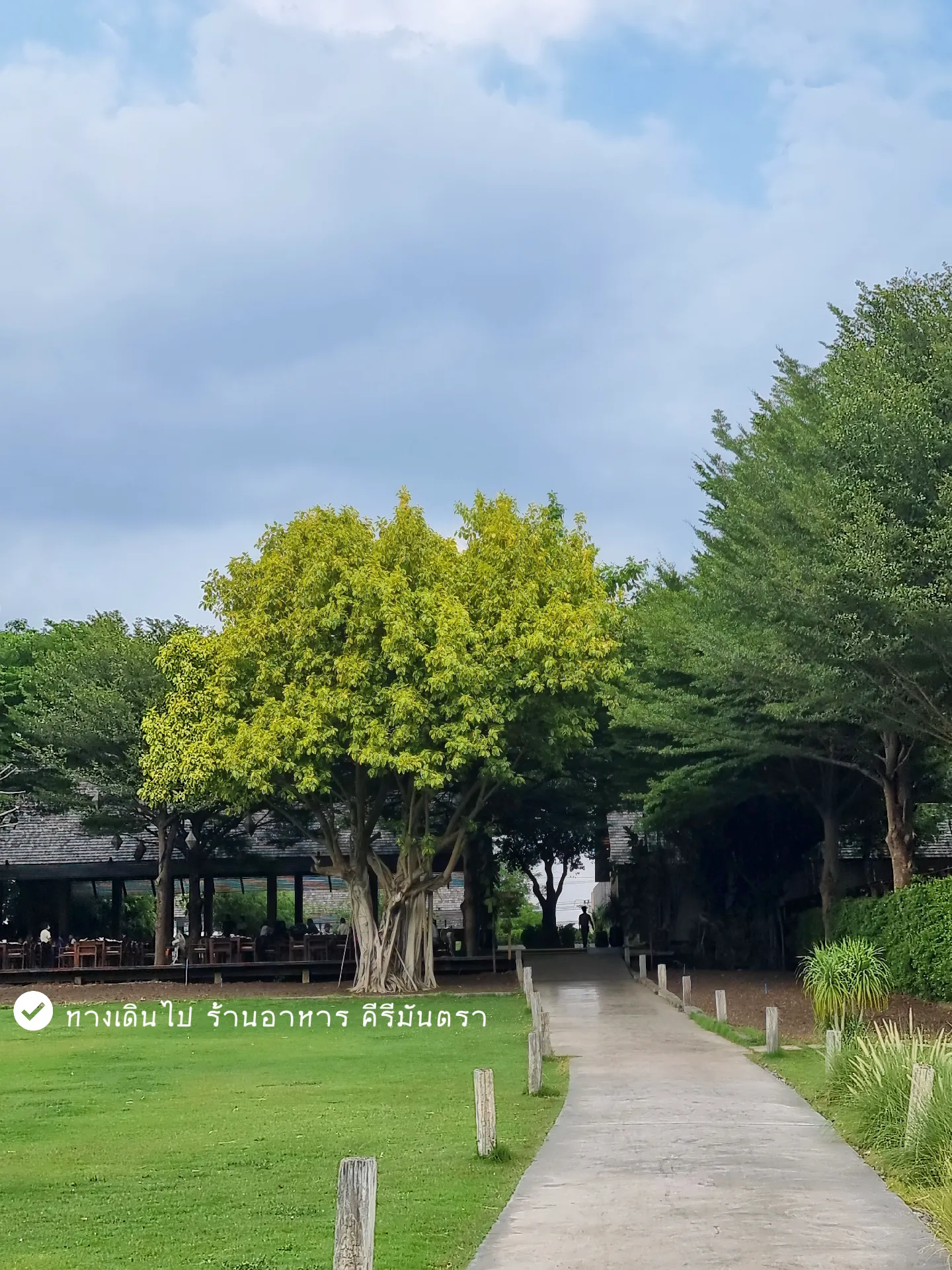 CHAN Nature Cafe #กาญจนบุรี | แกลเลอรีที่โพสต์โดย tHoY | Lemon8