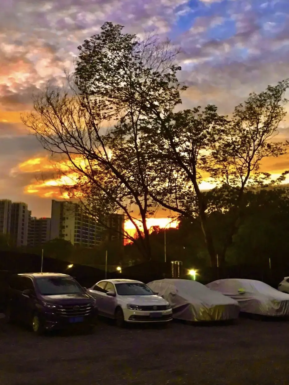 Edit Foto Kena Sinar Matahari - Pencarian Lemon8