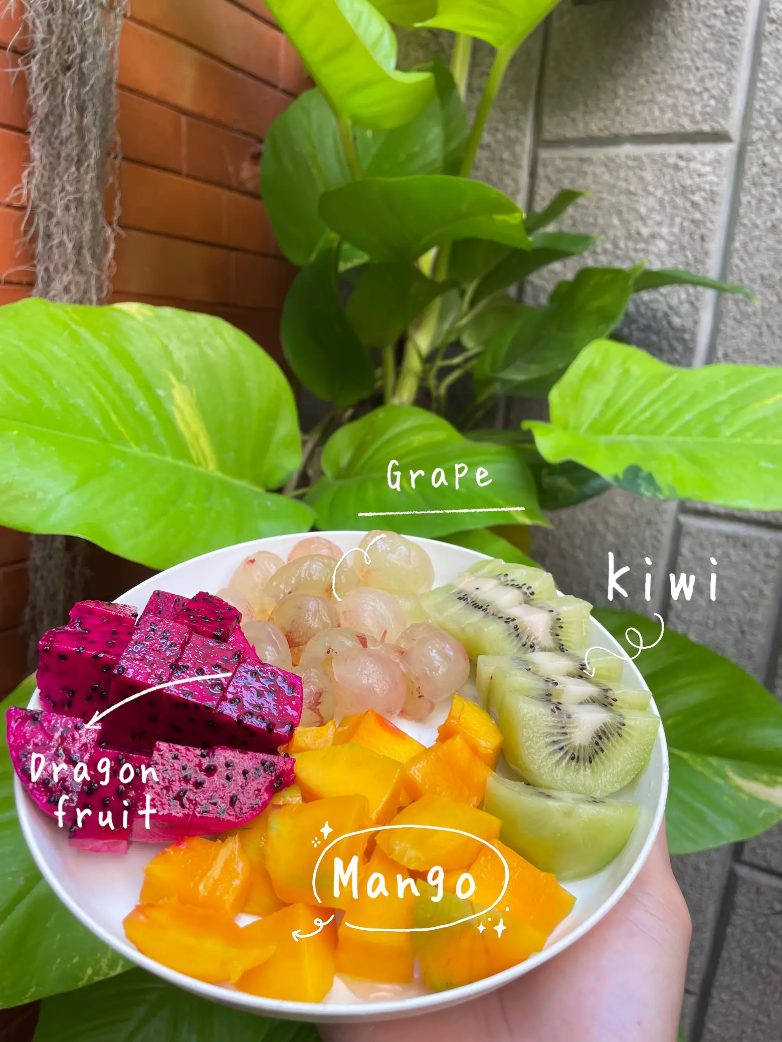 Which one do you like? | แกลเลอรีที่โพสต์โดย Umita🫶🏻 | Lemon8