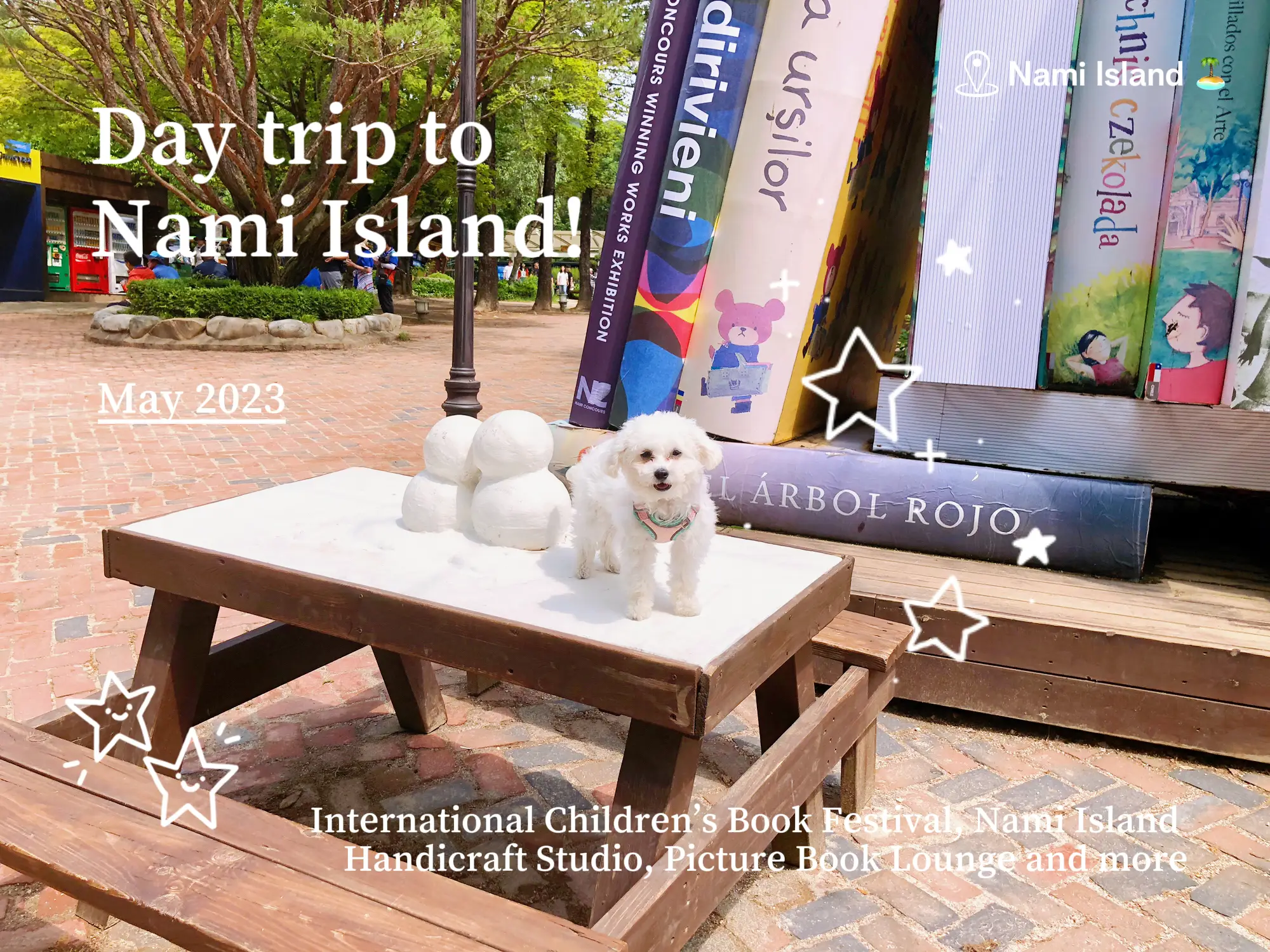 Day trip to Nami Island! 🐿️🦚📔 | Gallery posted by kaiyostudio | Lemon8