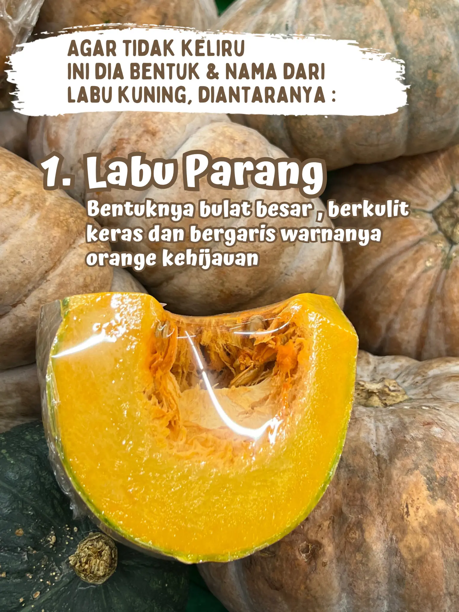 Yuk kenali macam macam bentuk dari labu kuning | Galeri diposting oleh ...