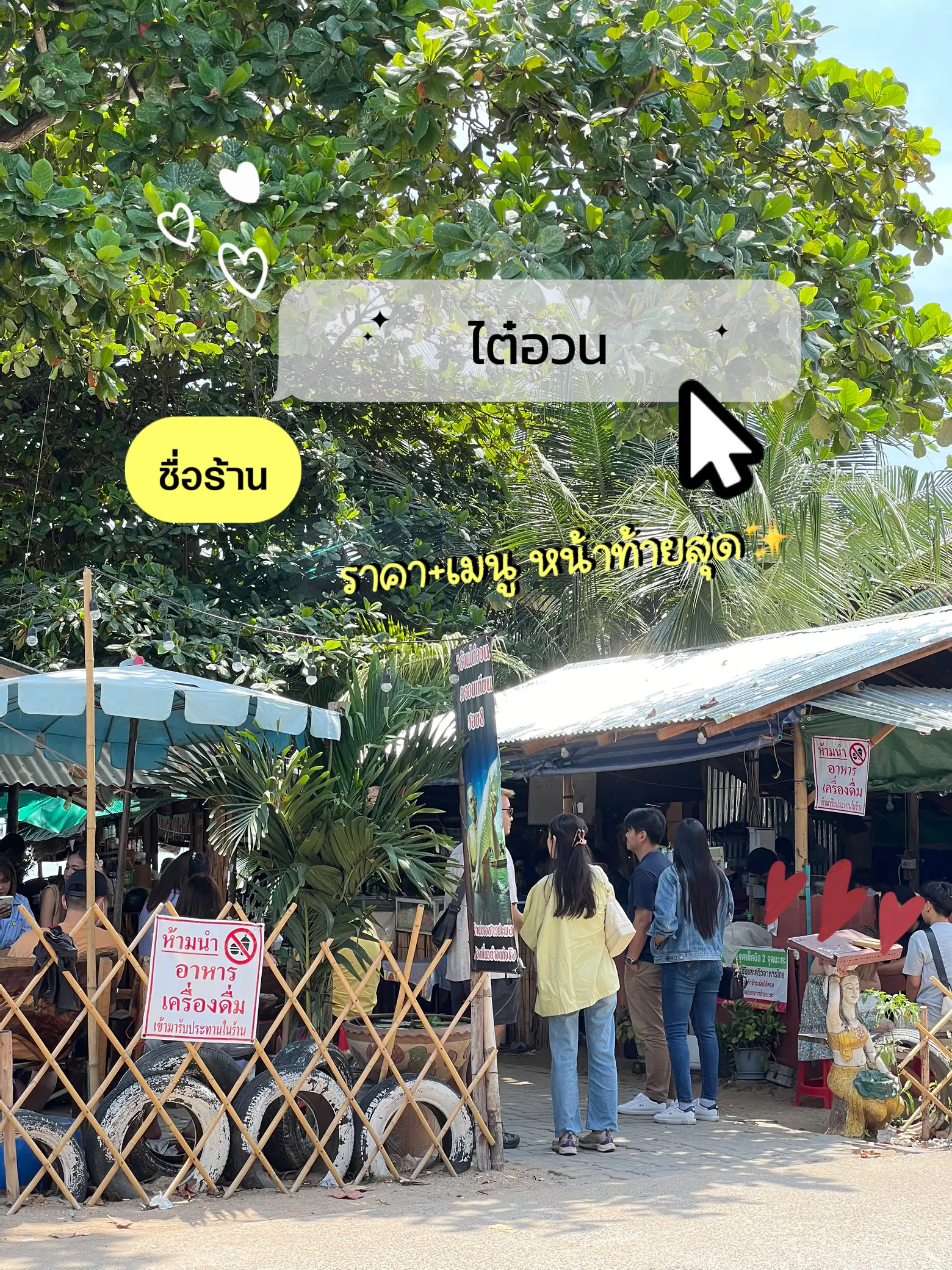เอ็นหอยจอบ | วิดีโอที่เผยแพร่โดย Nichapa Himakun | Lemon8