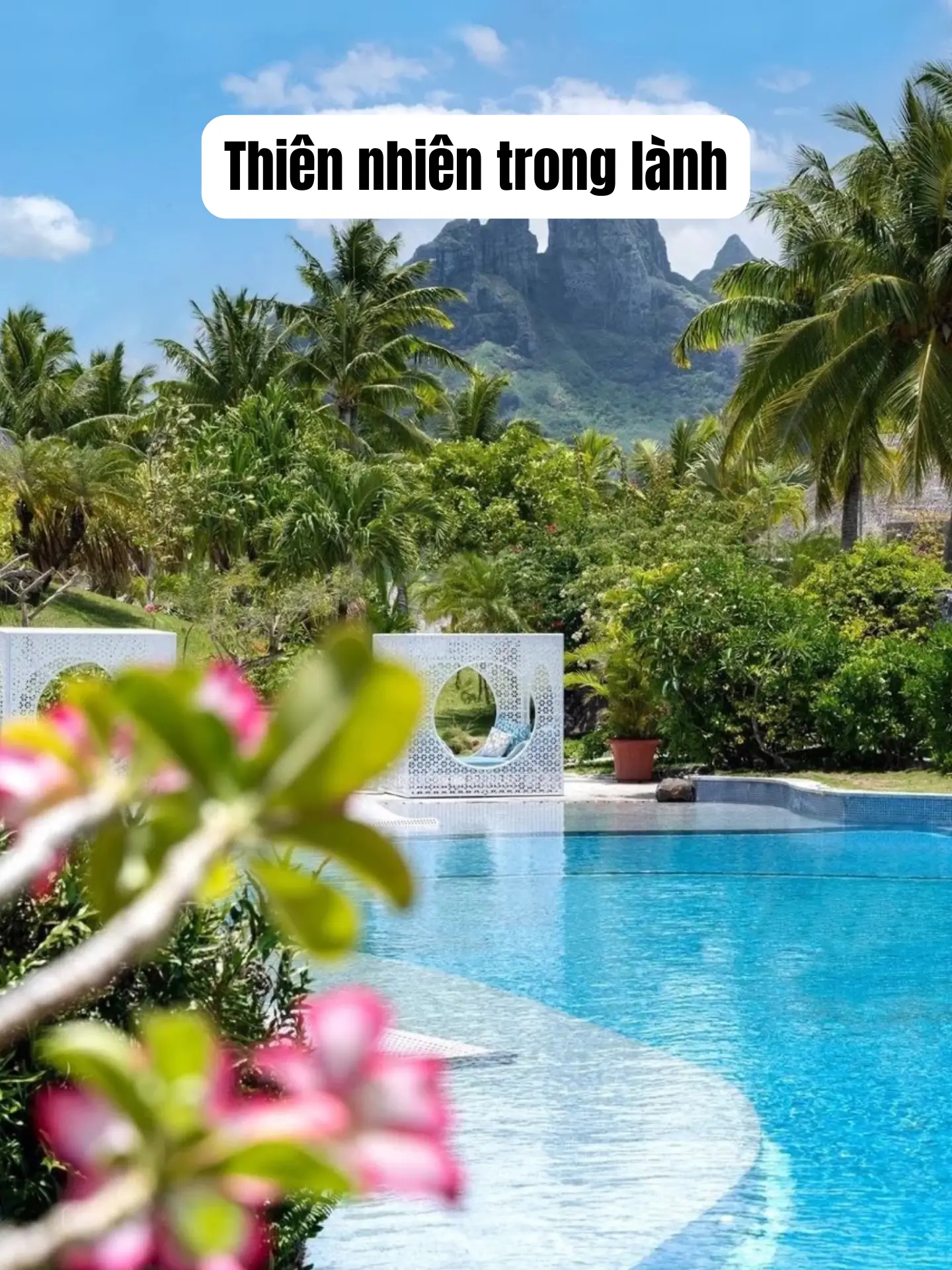 REVIEW ST.REGIS BORA BORA RESORT | Bộ sưu tập do Vân Hà đăng | Lemon8