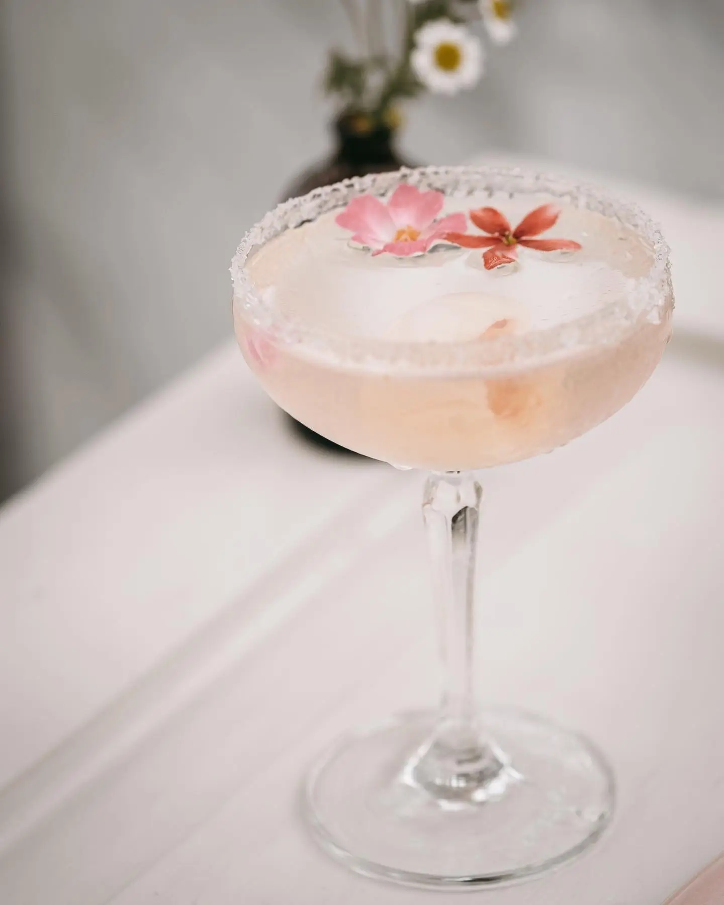 I do catering opened a Pop up cafe at Villa de Bua. | Gallery posted by ...