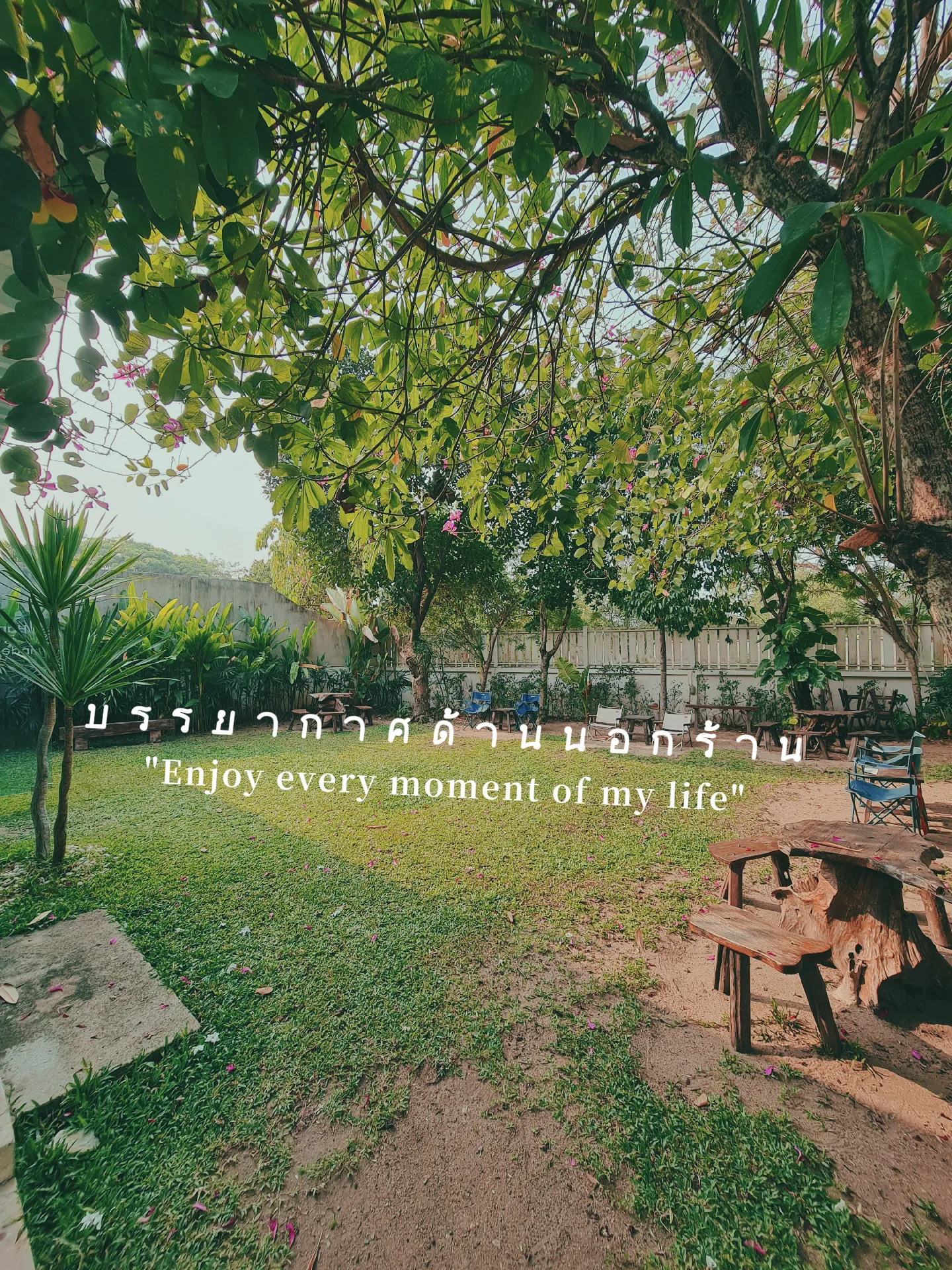 IS.SA.RA COFFEE SPACE | แกลเลอรีที่โพสต์โดย OHMMY | Lemon8