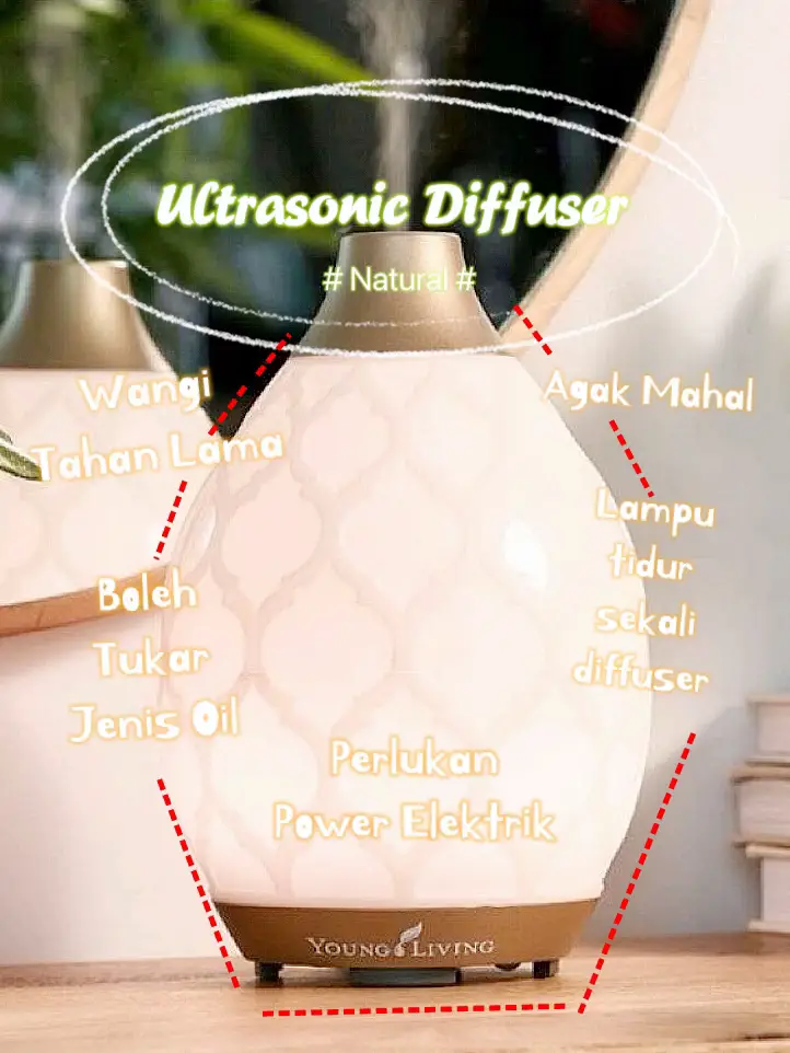 ULTRASONIC DIFFUSER VS REED DIFFUSER 🌫️ | Galeri disiarkan oleh WrappedbyLea | Lemon8