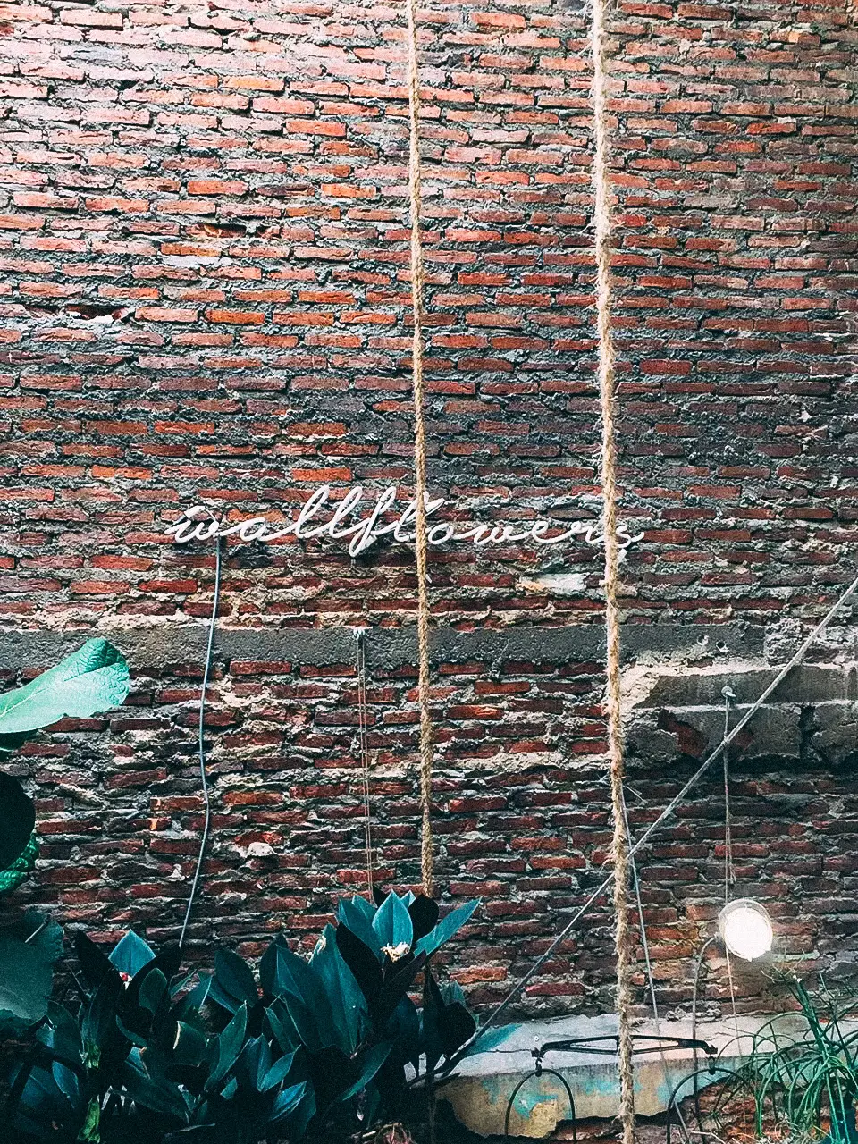 Wallflowers Cafe☕️ คาเฟ่ย่านหัวลำโพง เยาวราช ใกล้MRT🚆 | แกลเลอรีที่โพสต์โดย Nookathity🍑 | Lemon8