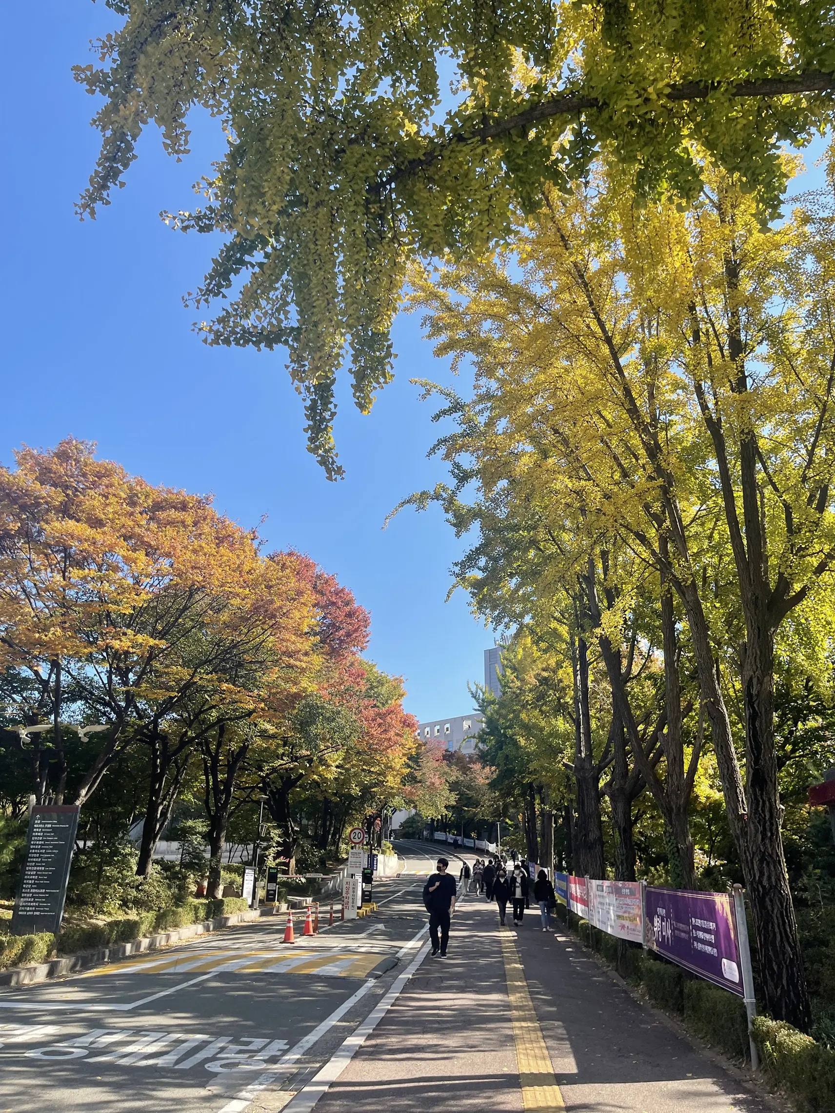 DEAR NOVEMBER 🍁 เกาหลีในฤดูใบไม้ร่วง (가을) | แกลเลอรีที่โพสต์โดย npsn.s ...