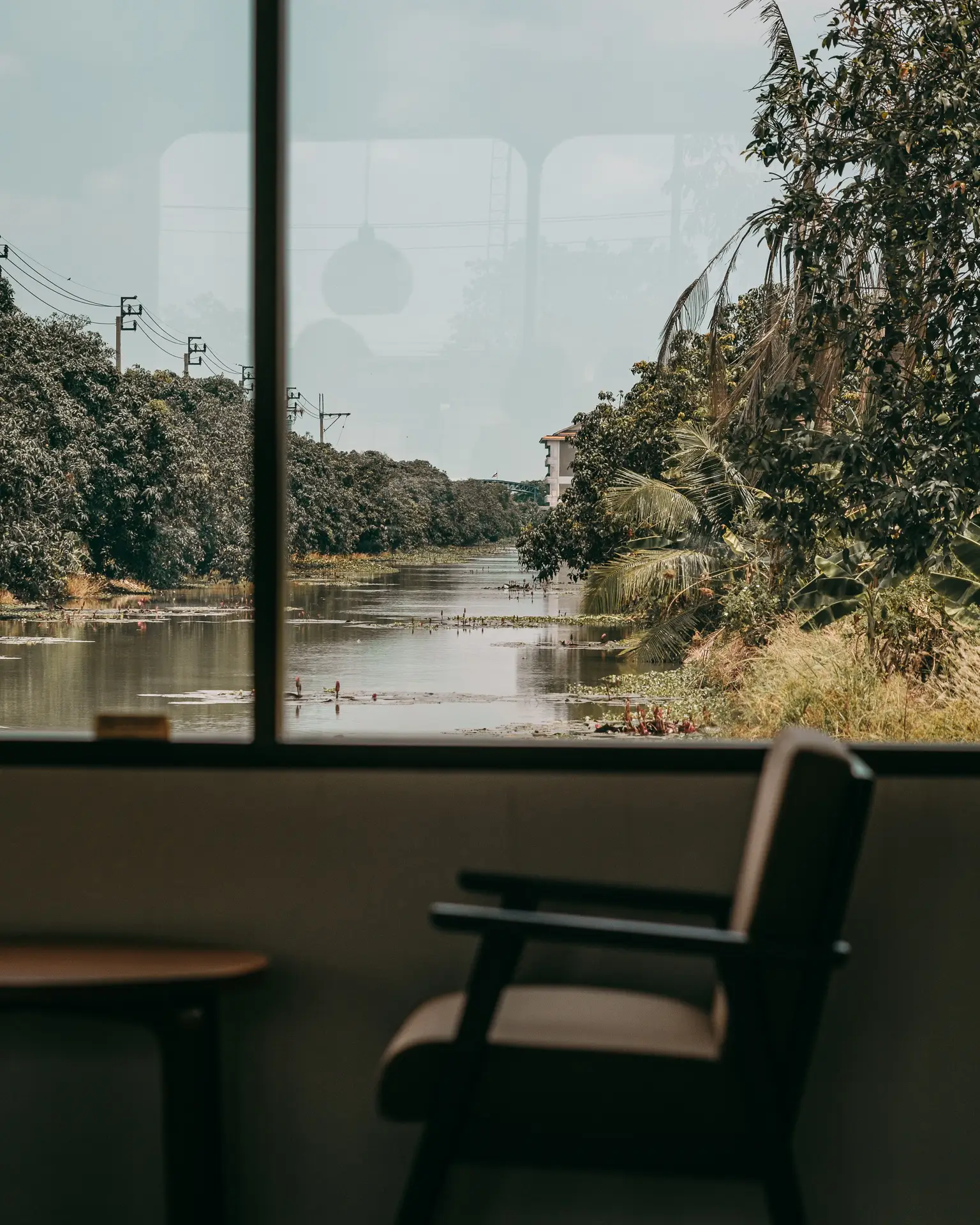 FINCH คาเฟ่และร้านอาหารเปิดใหม่บนถนนพัฒนาชนบท 3 | แกลเลอรีที่โพสต์โดย ...