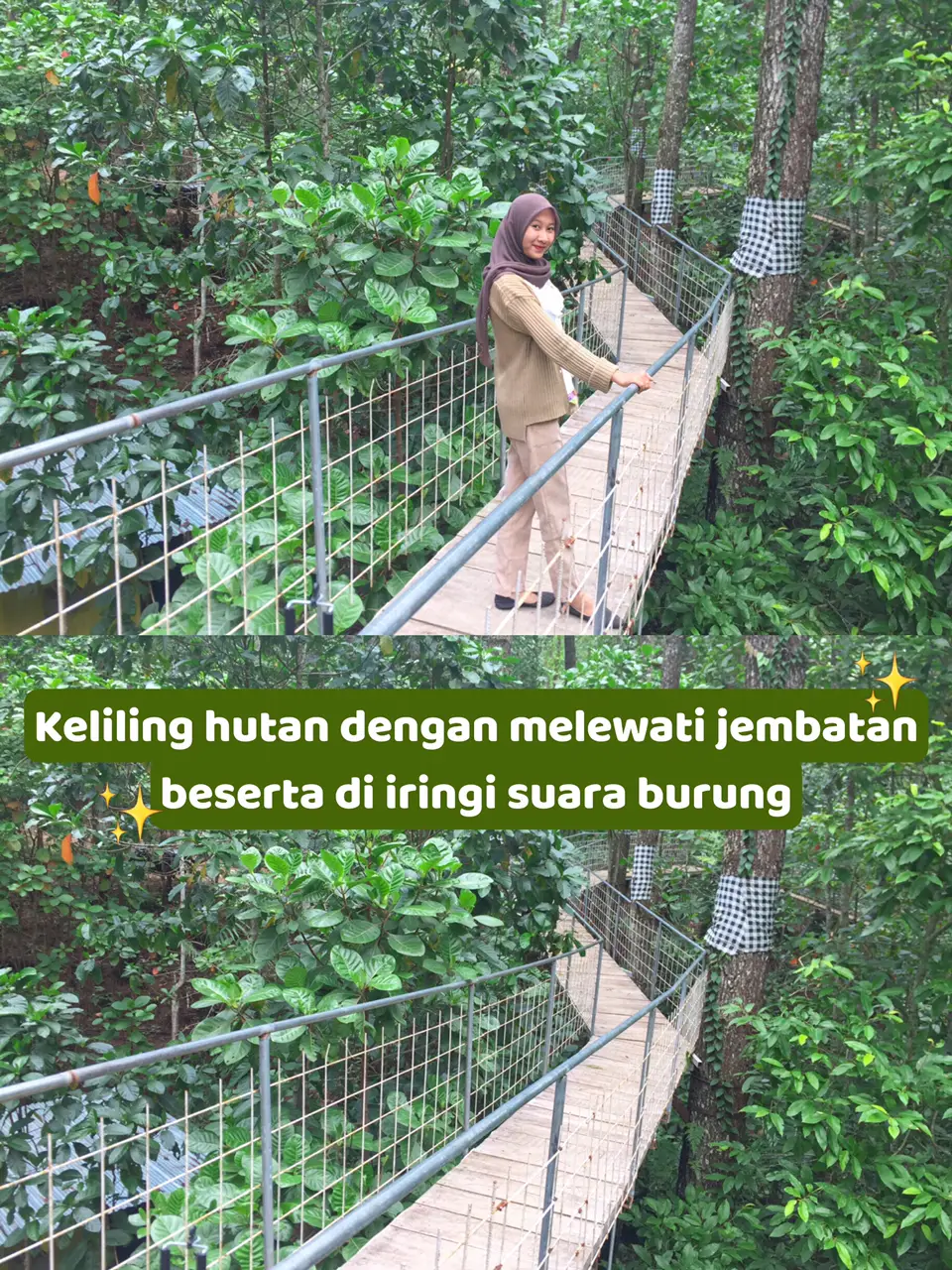 Melintasi jembatan ditengah hutan🌳 | Galeri diposting oleh Diahhh🕊 | Lemon8