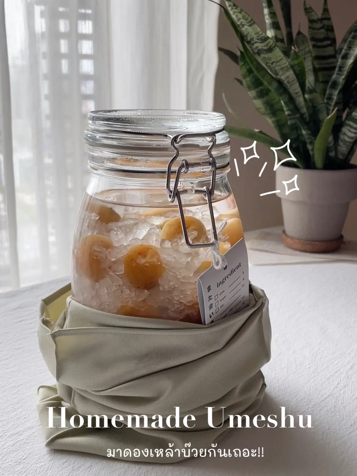 สูตรดองเหล้าบ๊วย ฉบับบ้านเราค่ะ 🥃🌸 | แกลเลอรีที่โพสต์โดย Baan.Mhee.Story | Lemon8